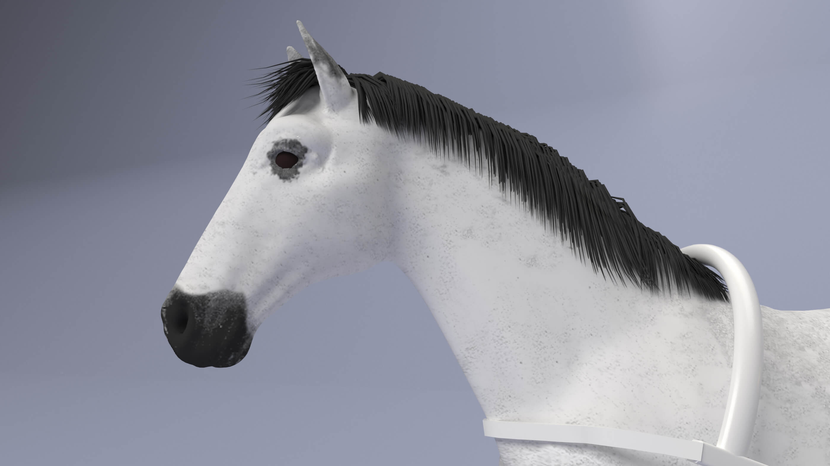 White Horse Coach 4K - 3D Model by Pictorer