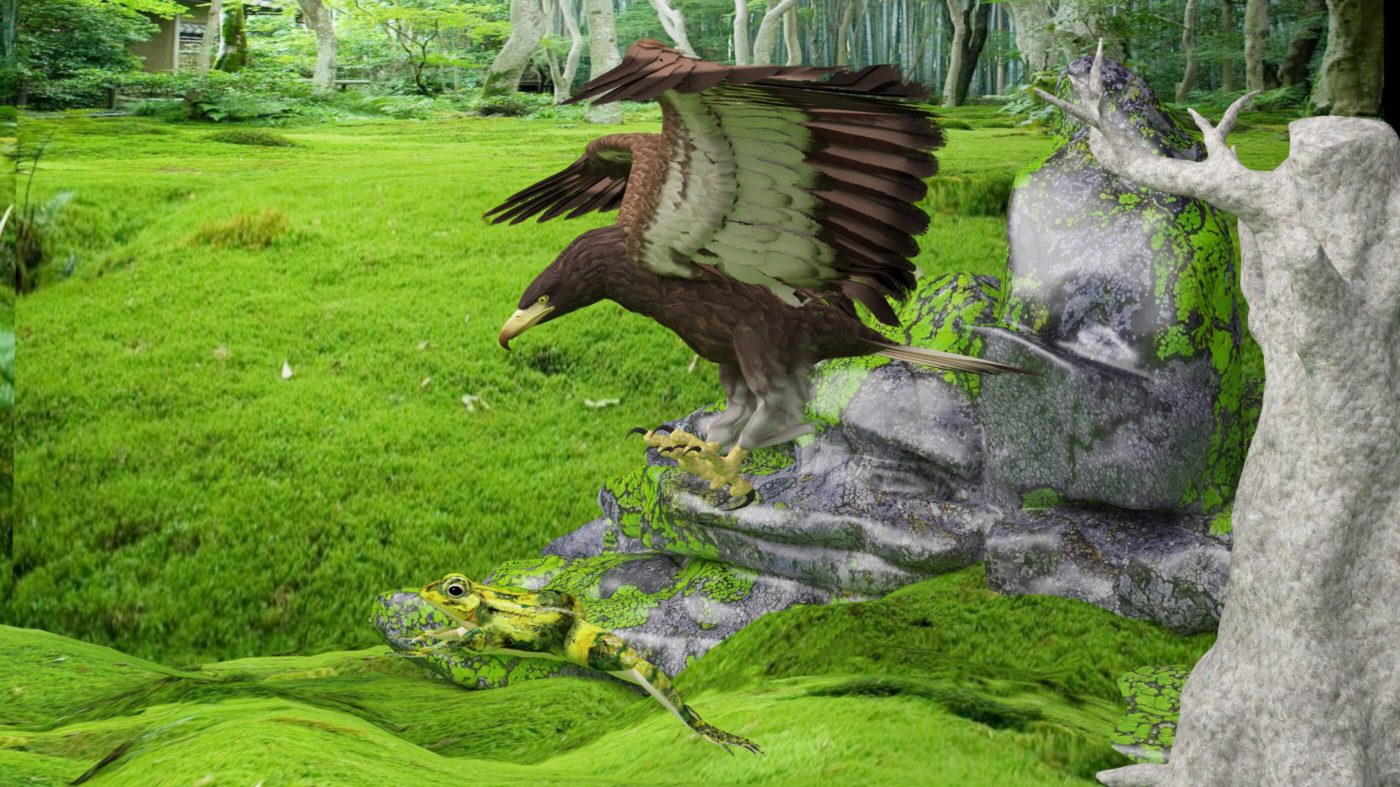Eagle Attack 2 - 4K 3D Model by Pictorer
