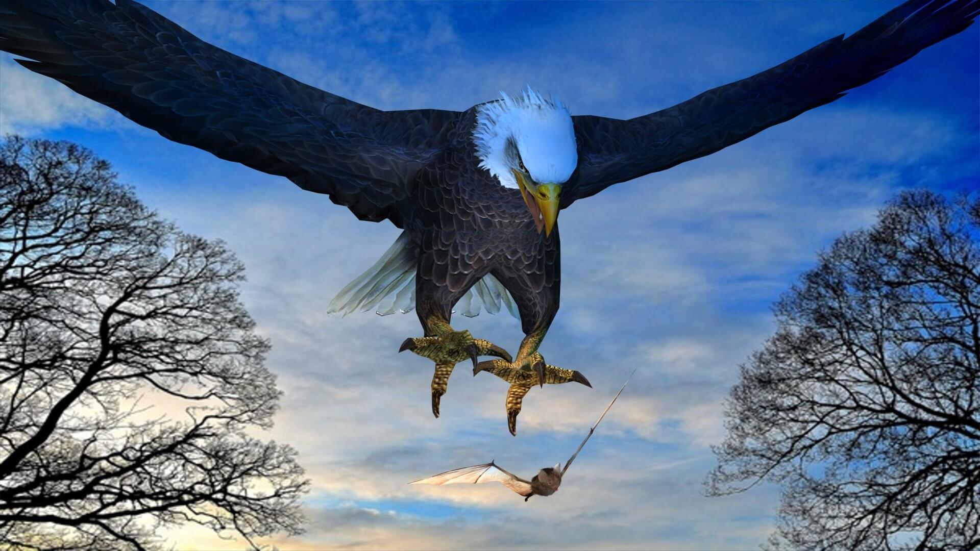 Eagle Attack - 3D Model by Pictorer