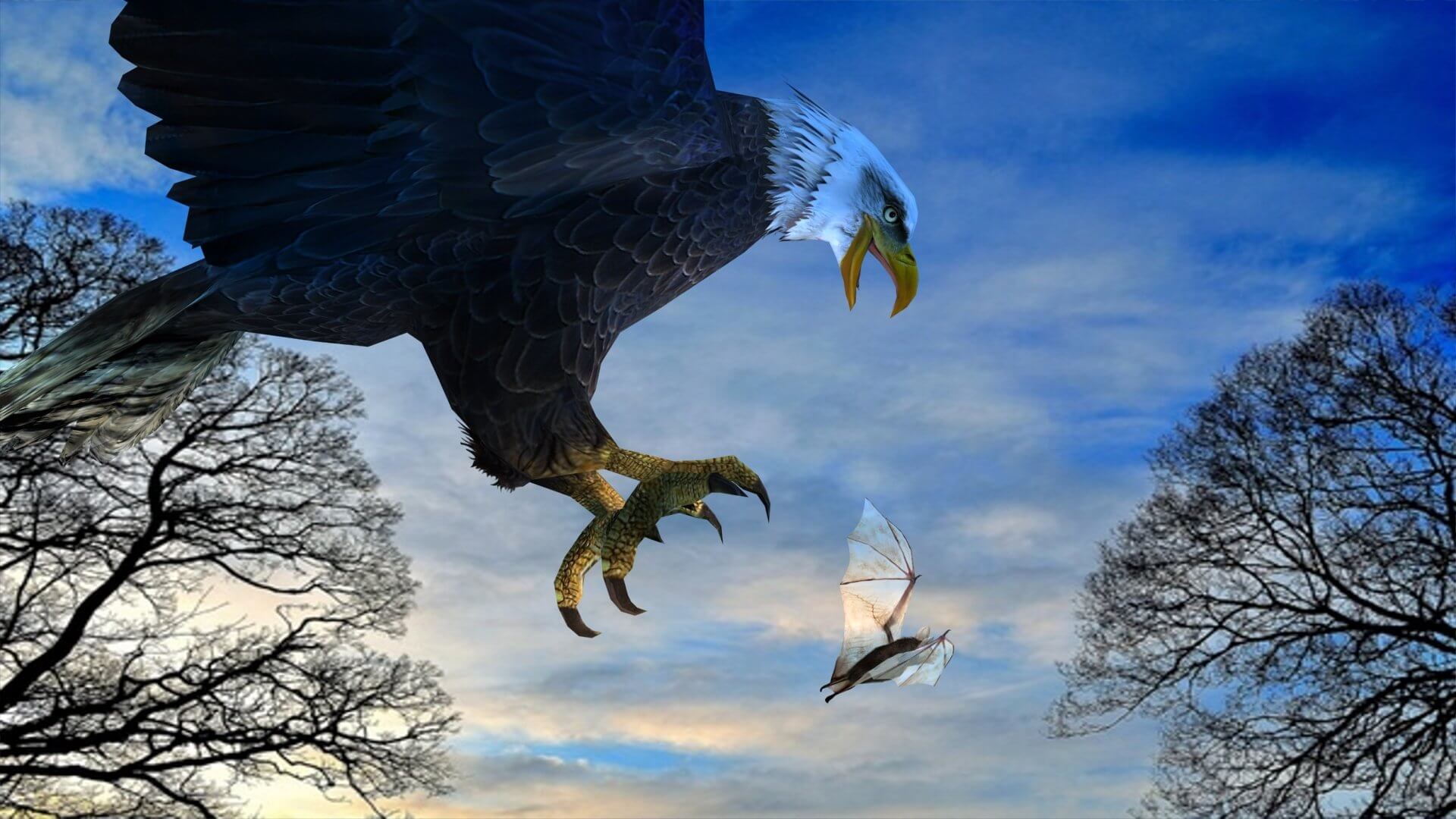 Eagle Attack - 3D Model by Pictorer