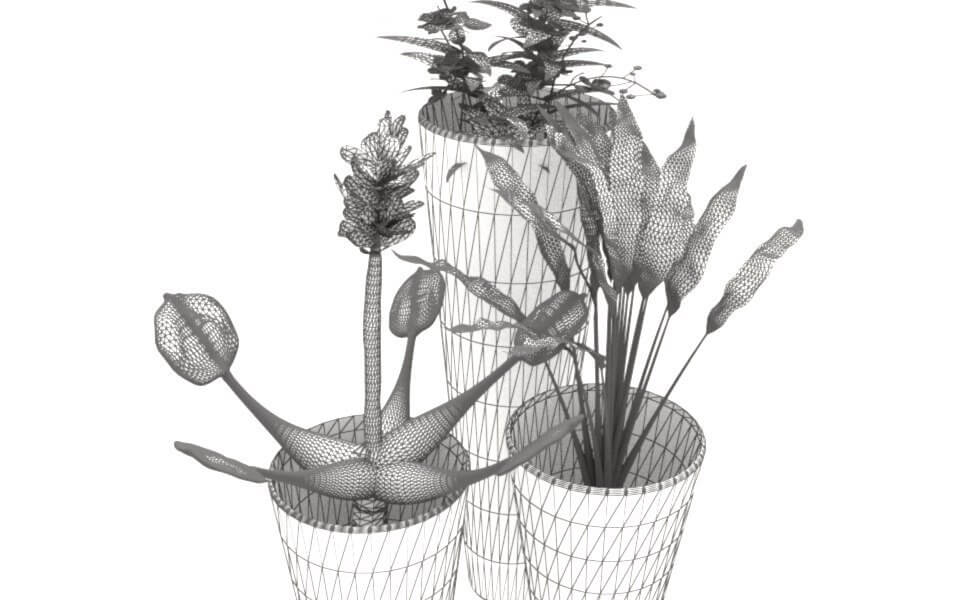 Decorative Flower Pots - 3D Model by Pictorer
