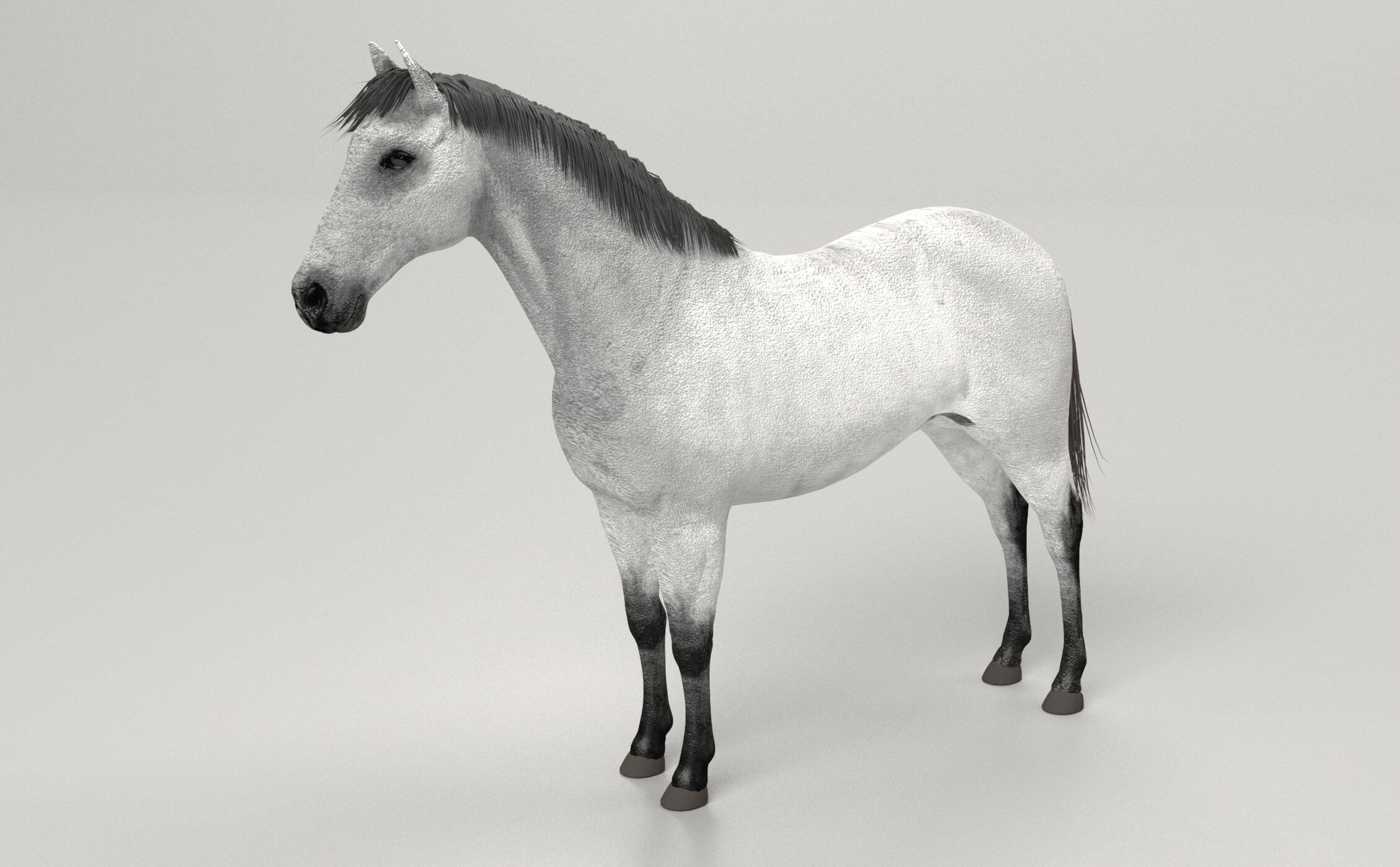 Gray Horse - 3D Model by Pictorer