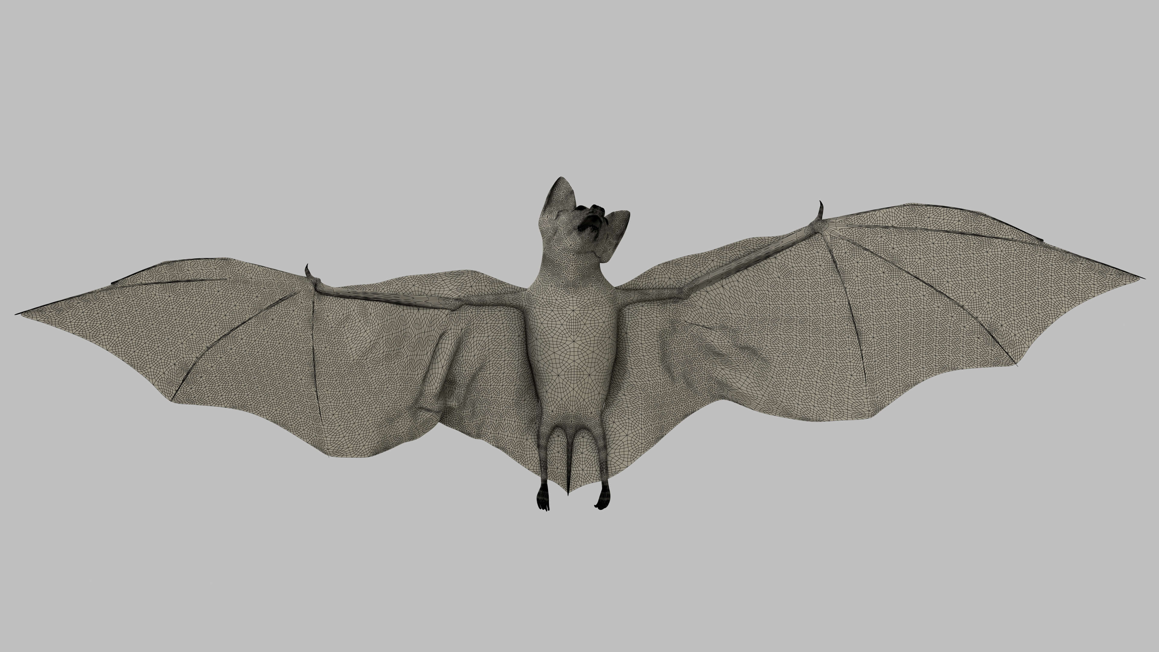 Little Brown Bat 8K - 3D Model by Pictorer