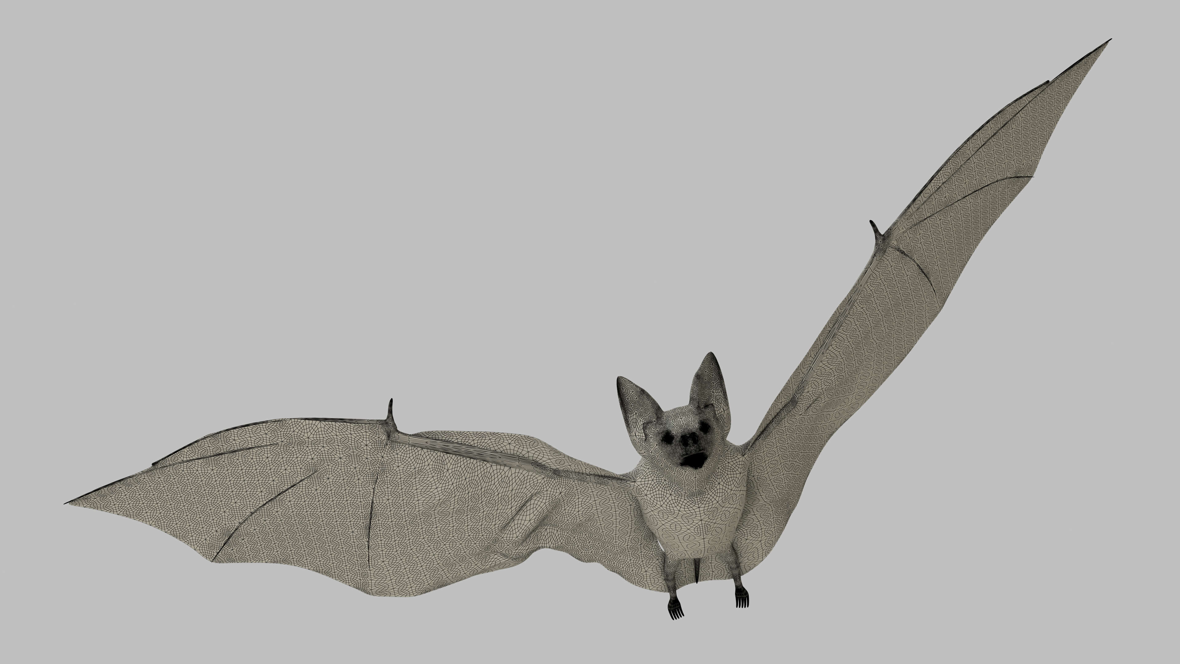 Little Brown Bat 8K - 3D Model by Pictorer