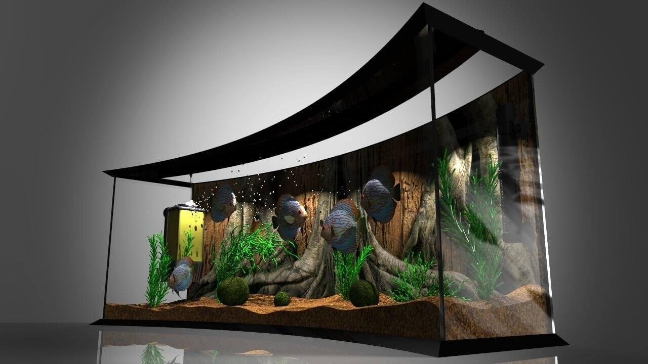 Panoramic Aqua Tank - 3D Model by Pictorer