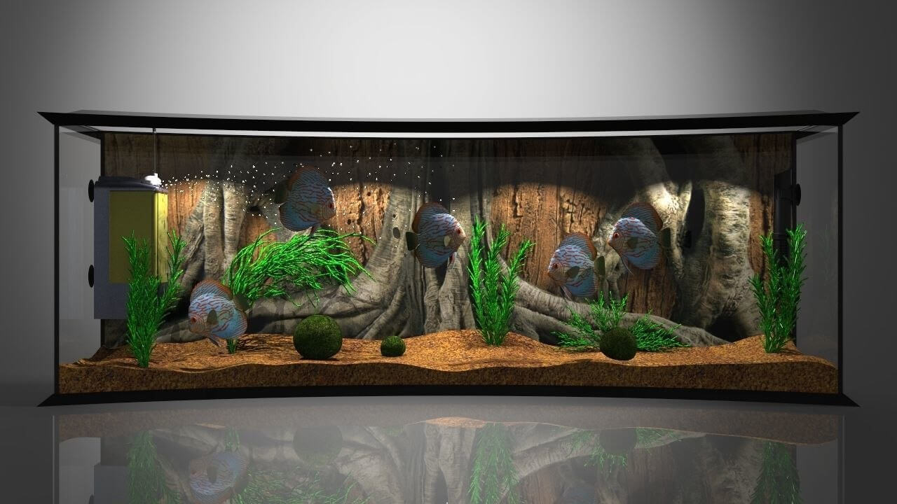 Panoramic Aqua Tank - 3D Model by Pictorer