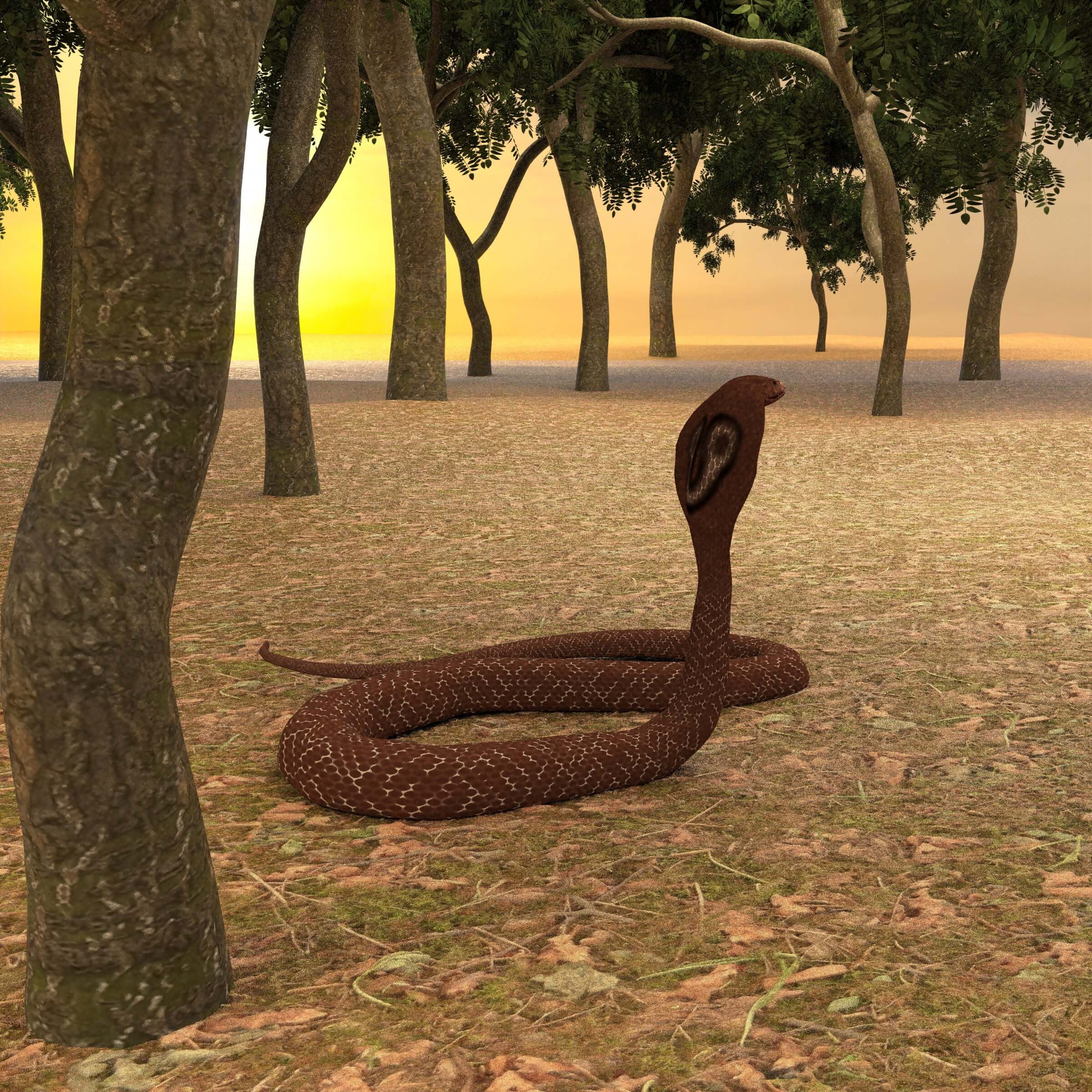 Spectacled Cobra 4K - 3D Model by Pictorer