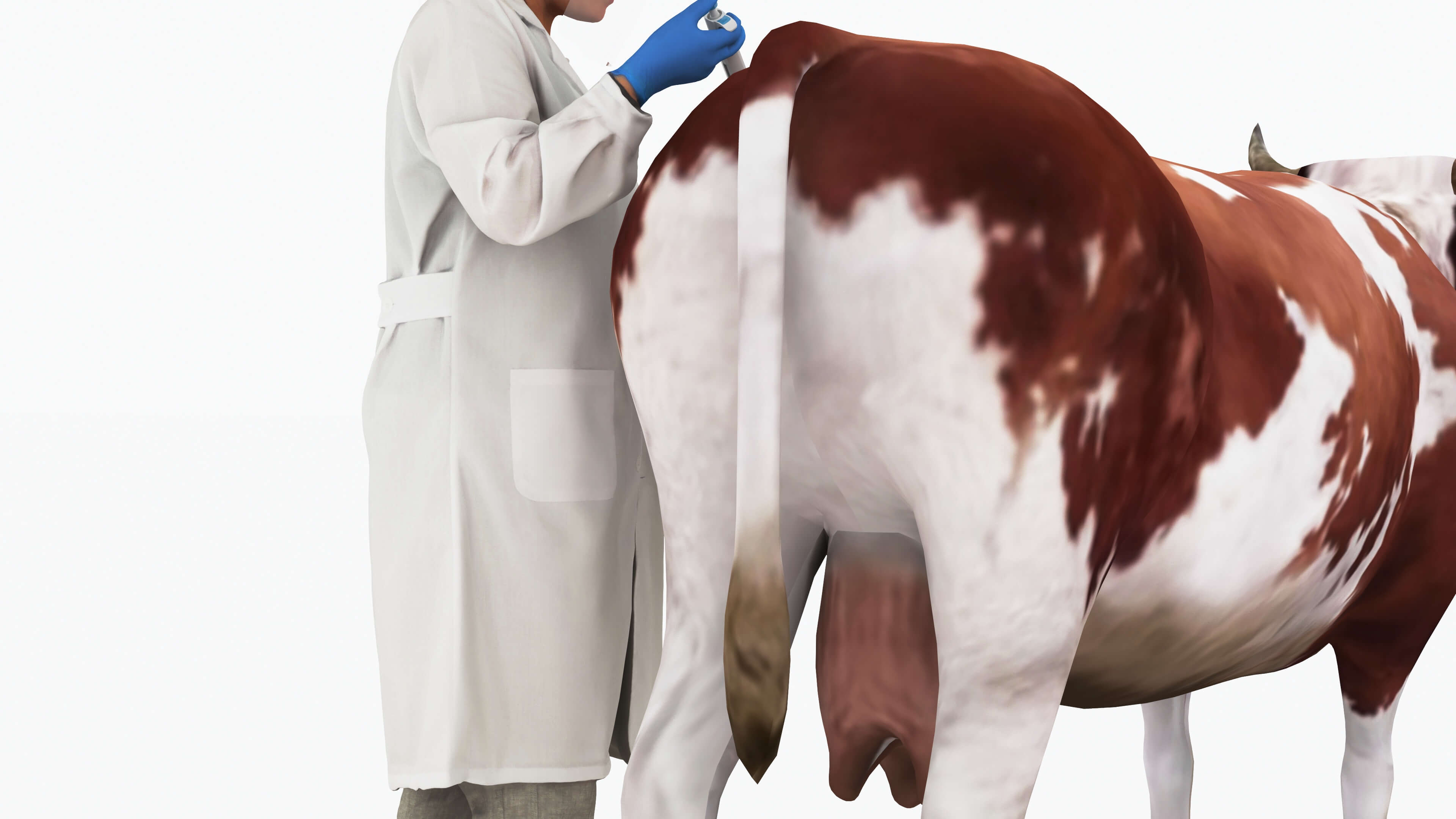 Veterinarain 4K - 3D Model by Pictorer