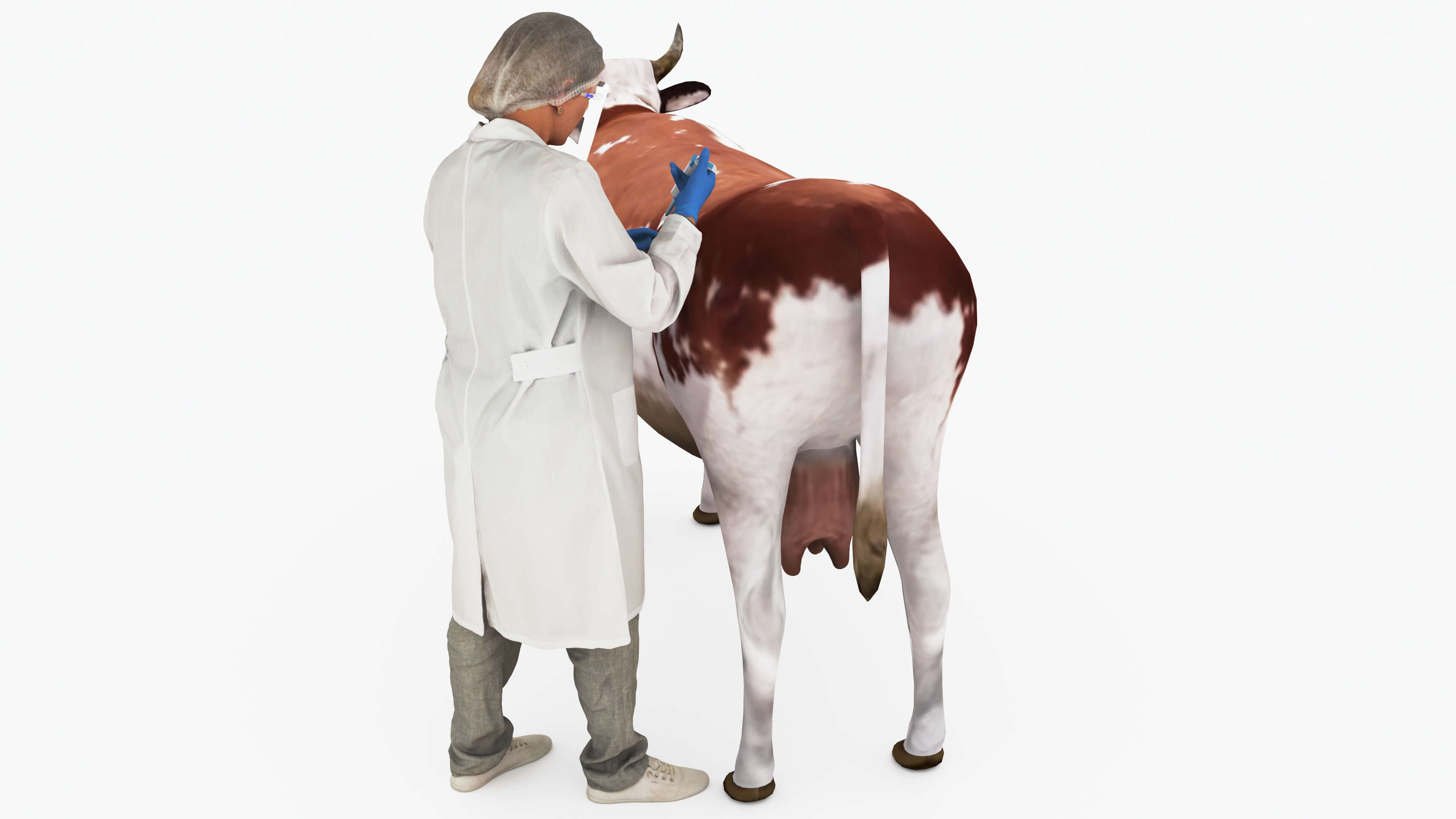 Veterinarain 4K - 3D Model by Pictorer