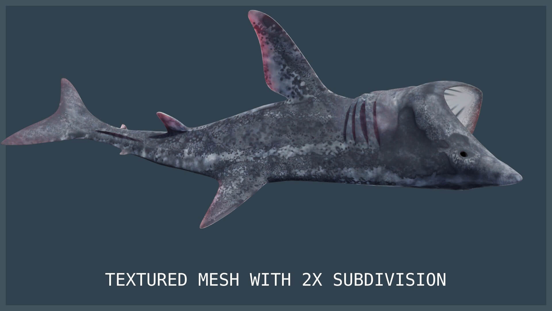 Animated Basking Shark - 3D Model by Pig Scales Studio