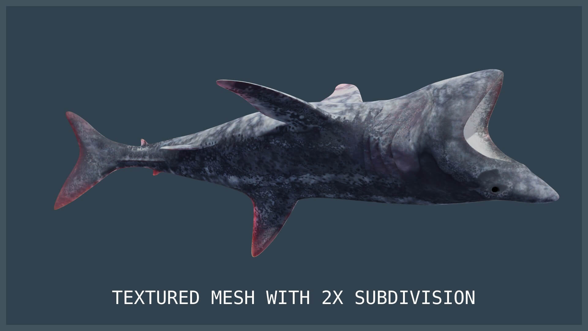 Animated Basking Shark - 3D Model by Pig Scales Studio