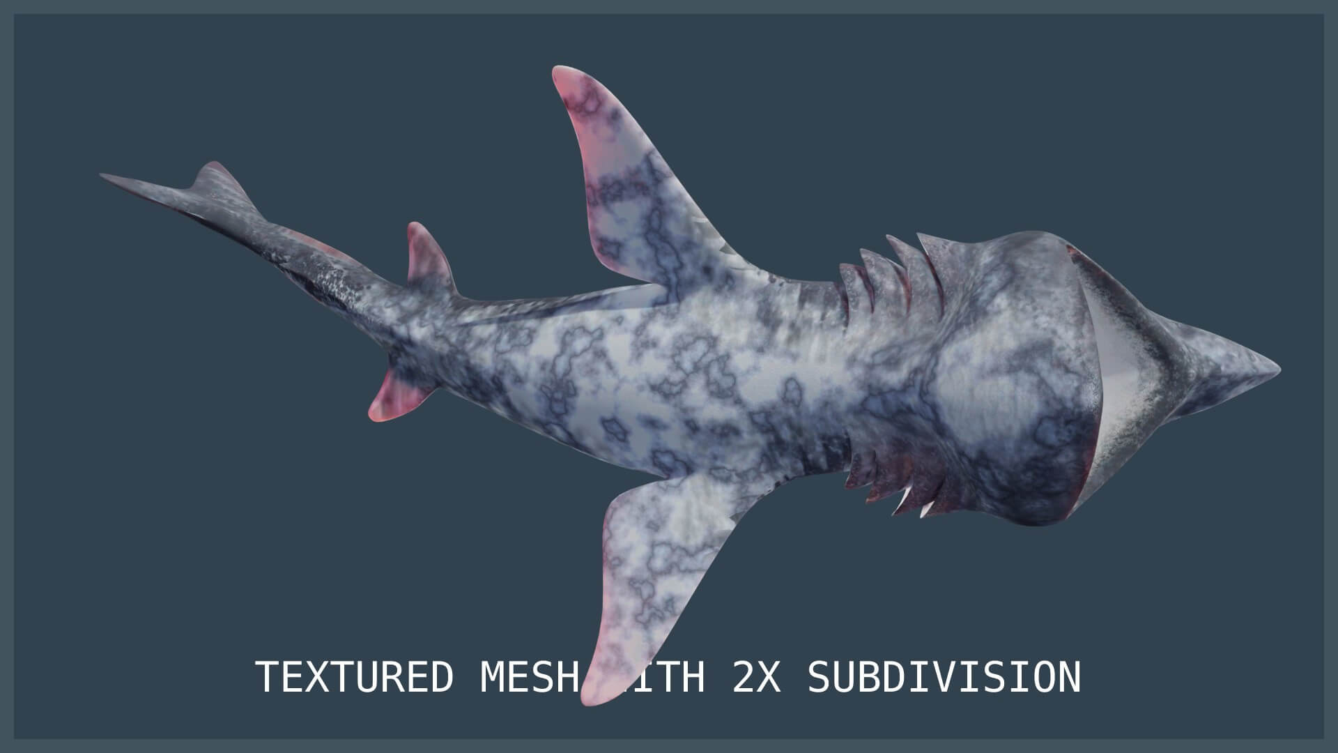 Animated Basking Shark - 3D Model by Pig Scales Studio