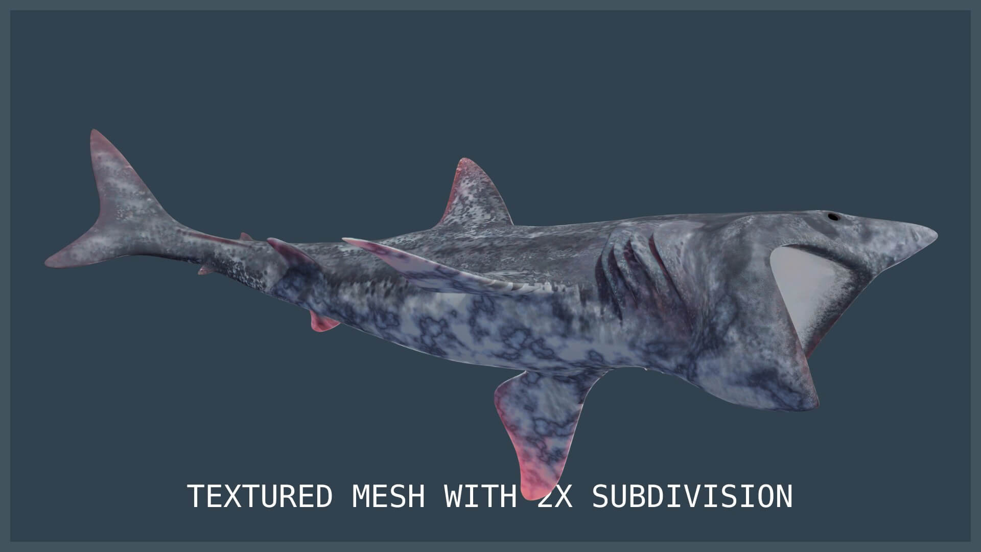 Animated Basking Shark - 3D Model by Pig Scales Studio