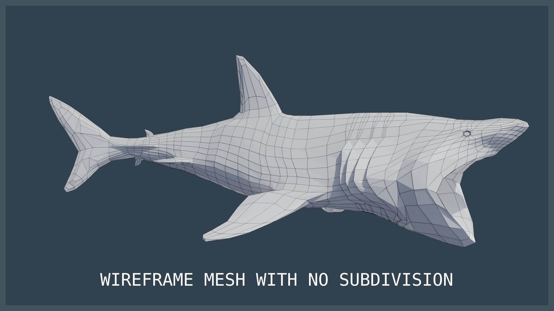 Animated Basking Shark - 3D Model by Pig Scales Studio