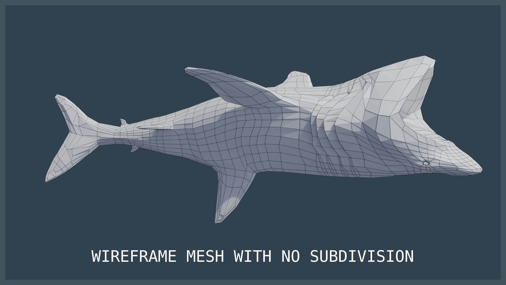 Animated Basking Shark - 3D Model by Pig Scales Studio