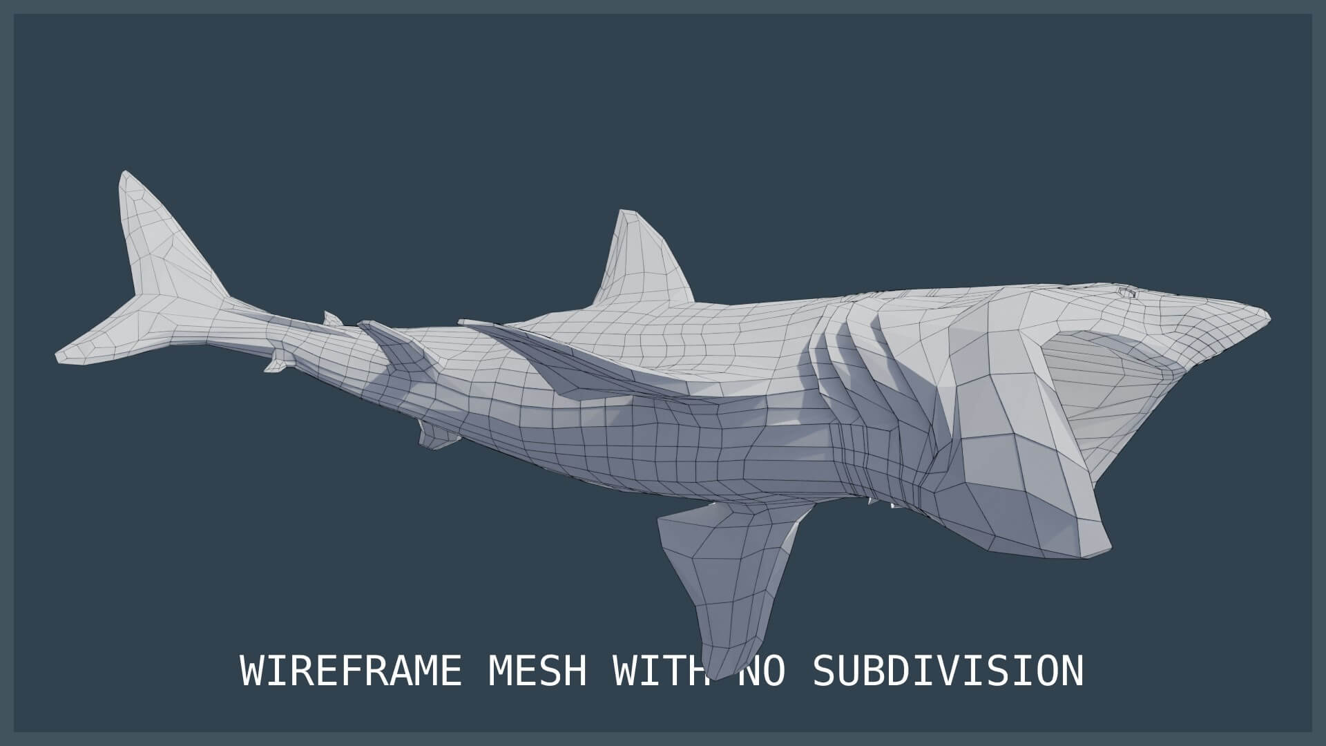 Animated Basking Shark - 3D Model by Pig Scales Studio