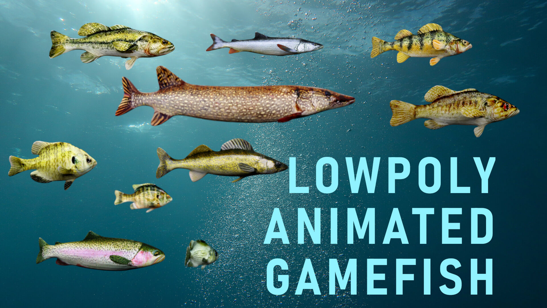 Animated Freshwater Fish - 3D Model by Pig Scales Studio