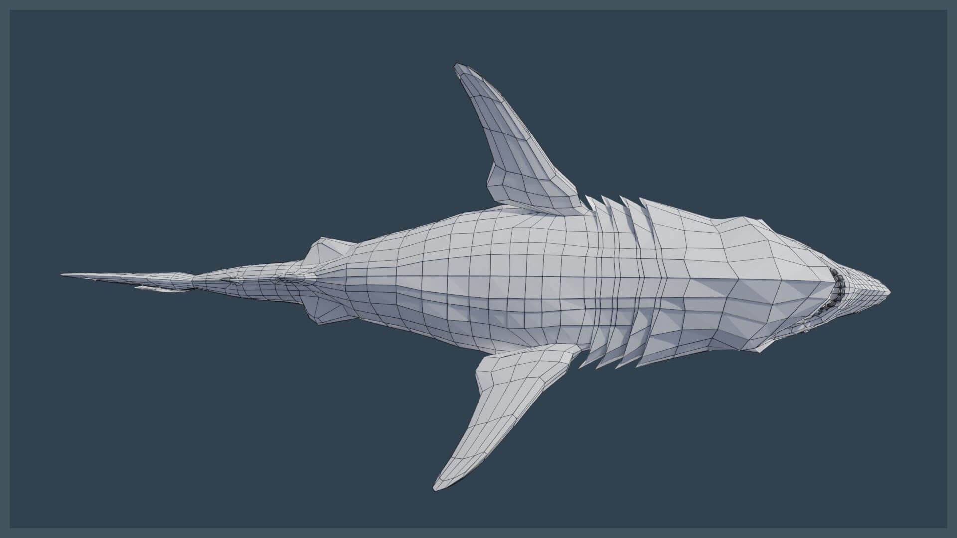 Great White Shark - 3D Model by Pig Scales Studio