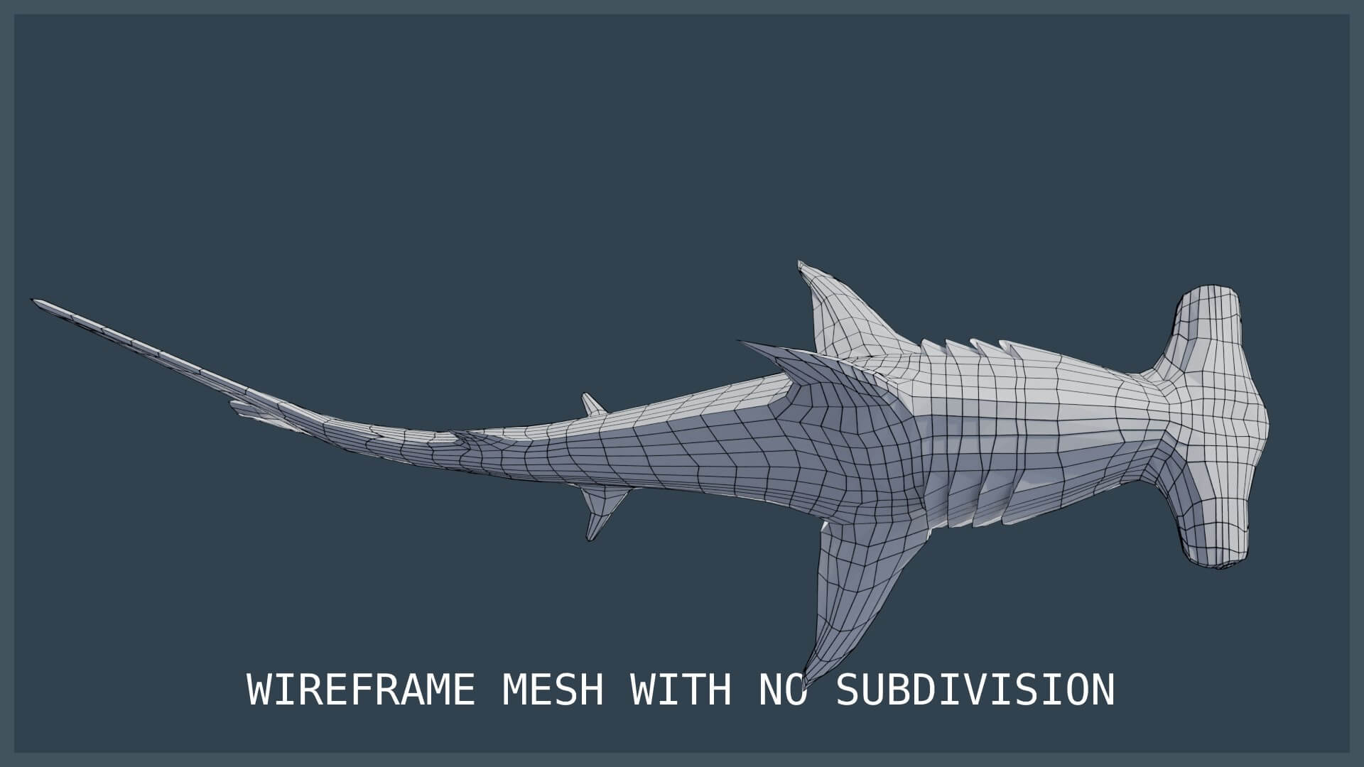 Hammerhead Shark - 3D Model by Pig Scales Studio