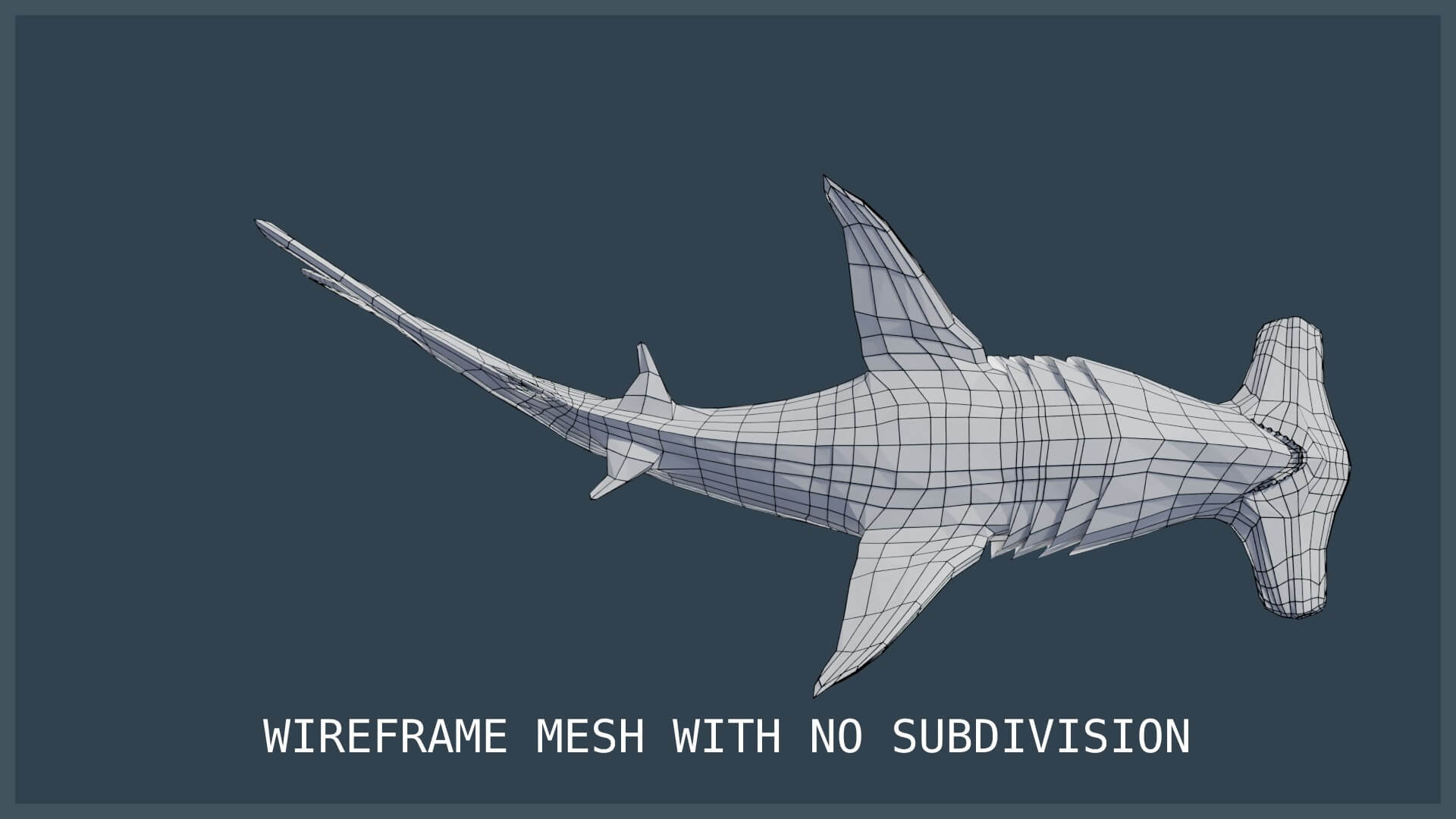 Hammerhead Shark - 3D Model by Pig Scales Studio