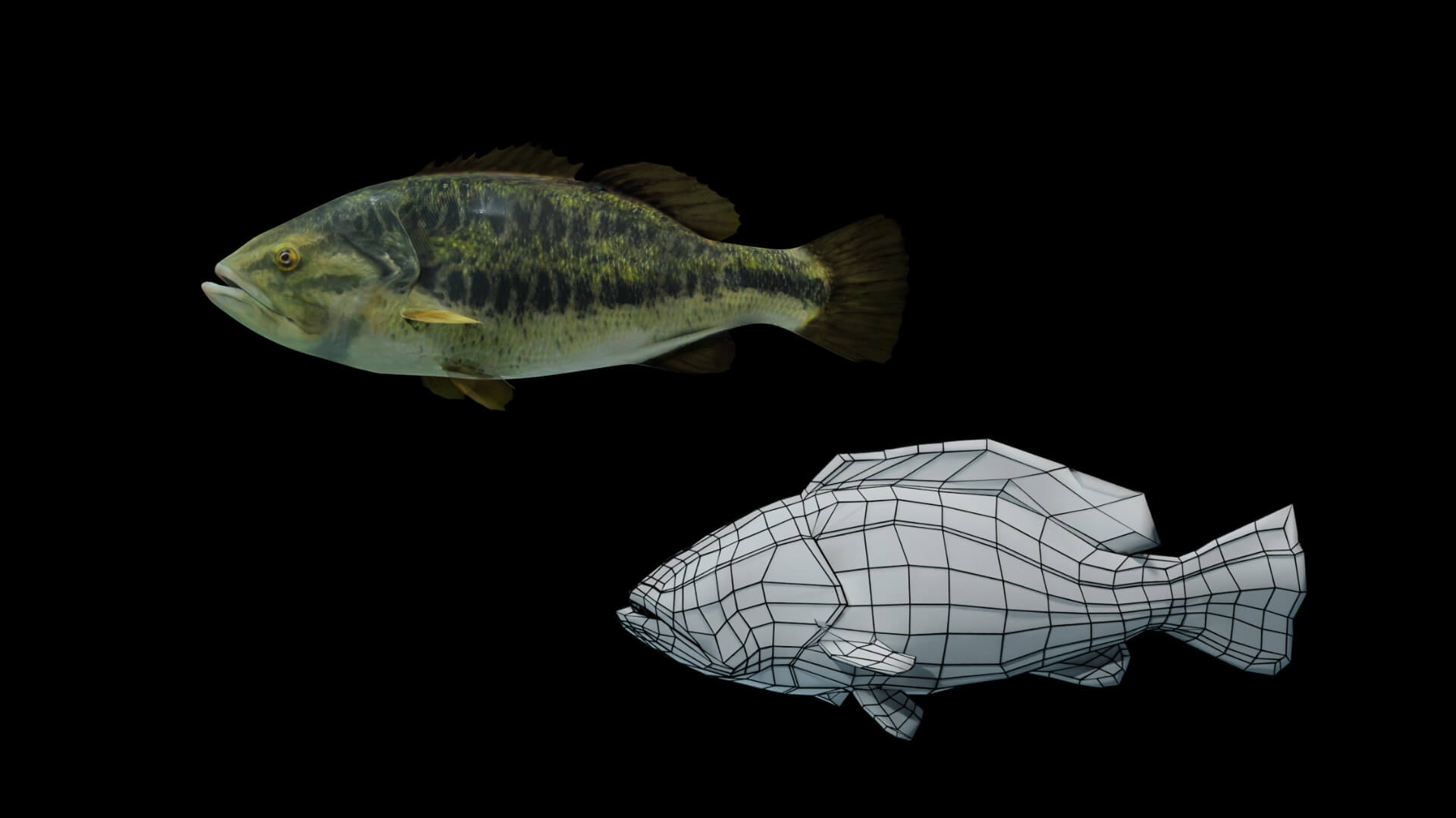 Animated Largemouth Bass - 3D Model by Pig Scales Studio