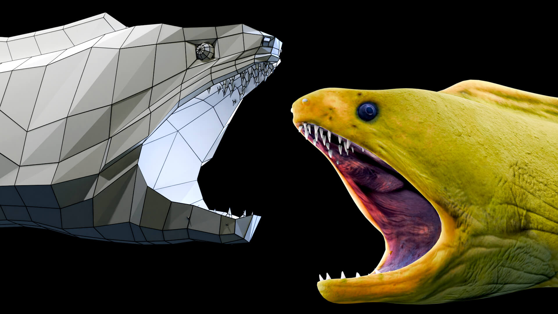 Animated Moray Eel - 3D Model by Pig Scales Studio