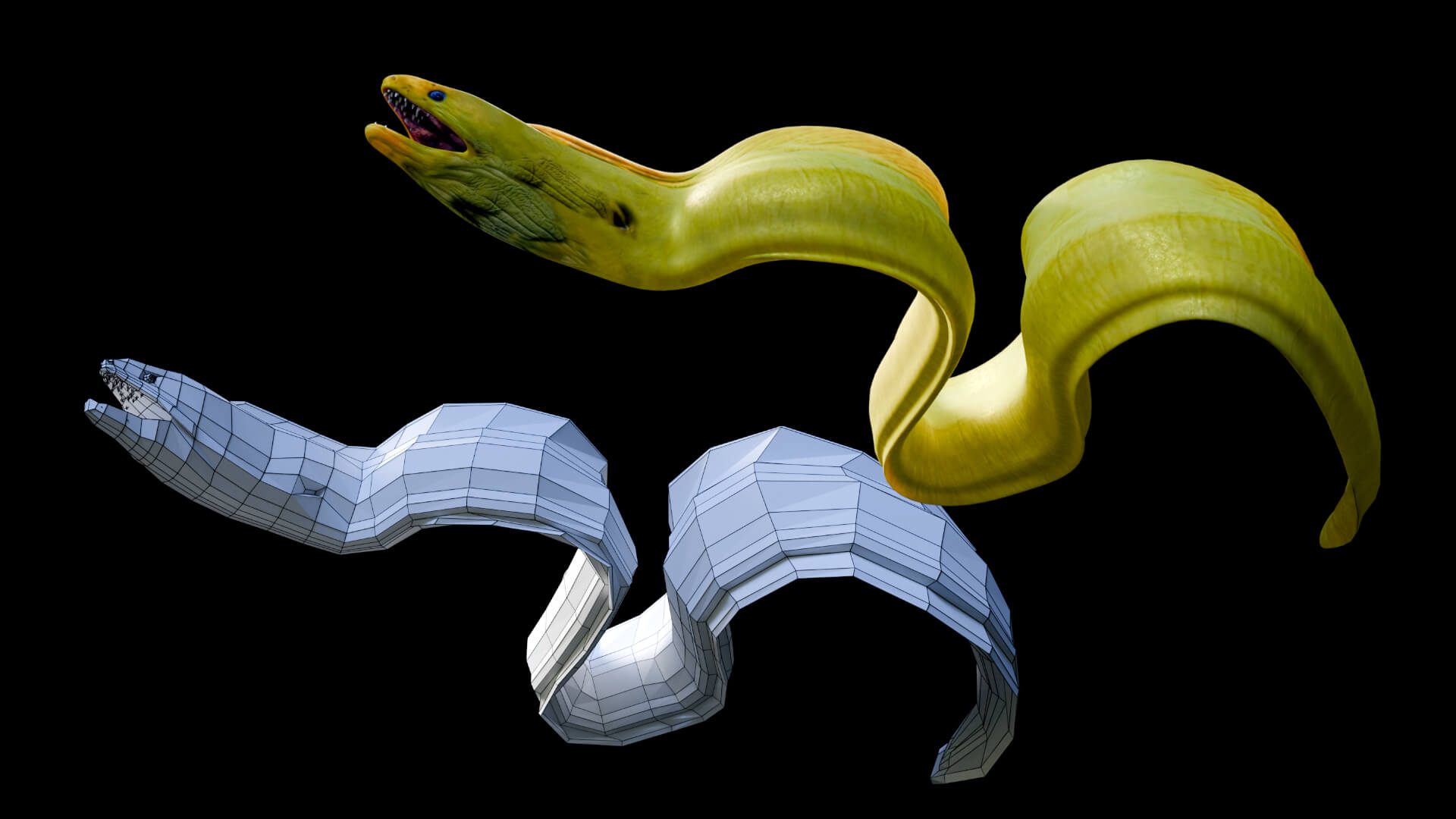 Animated Moray Eel - 3D Model by Pig Scales Studio