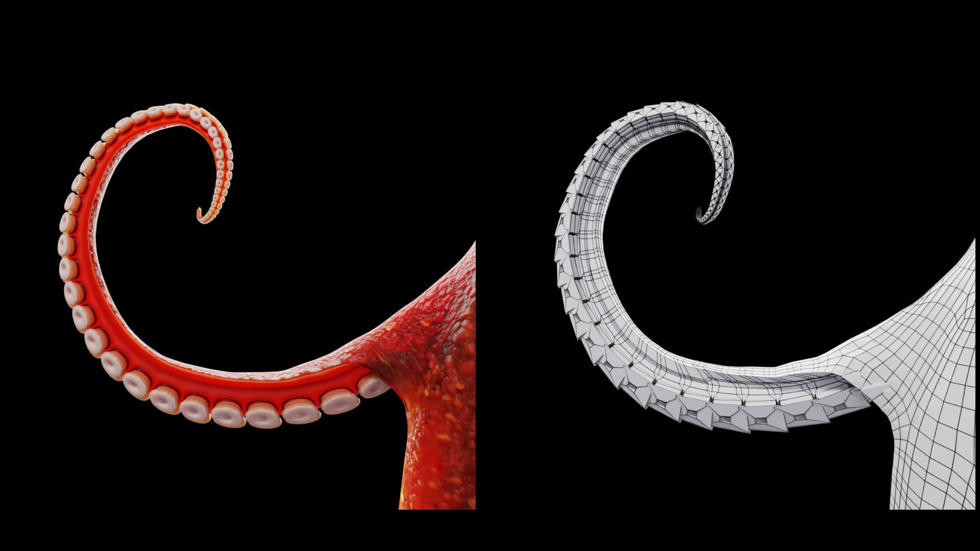 Animated Octopus - 3D Model by Pig Scales Studio