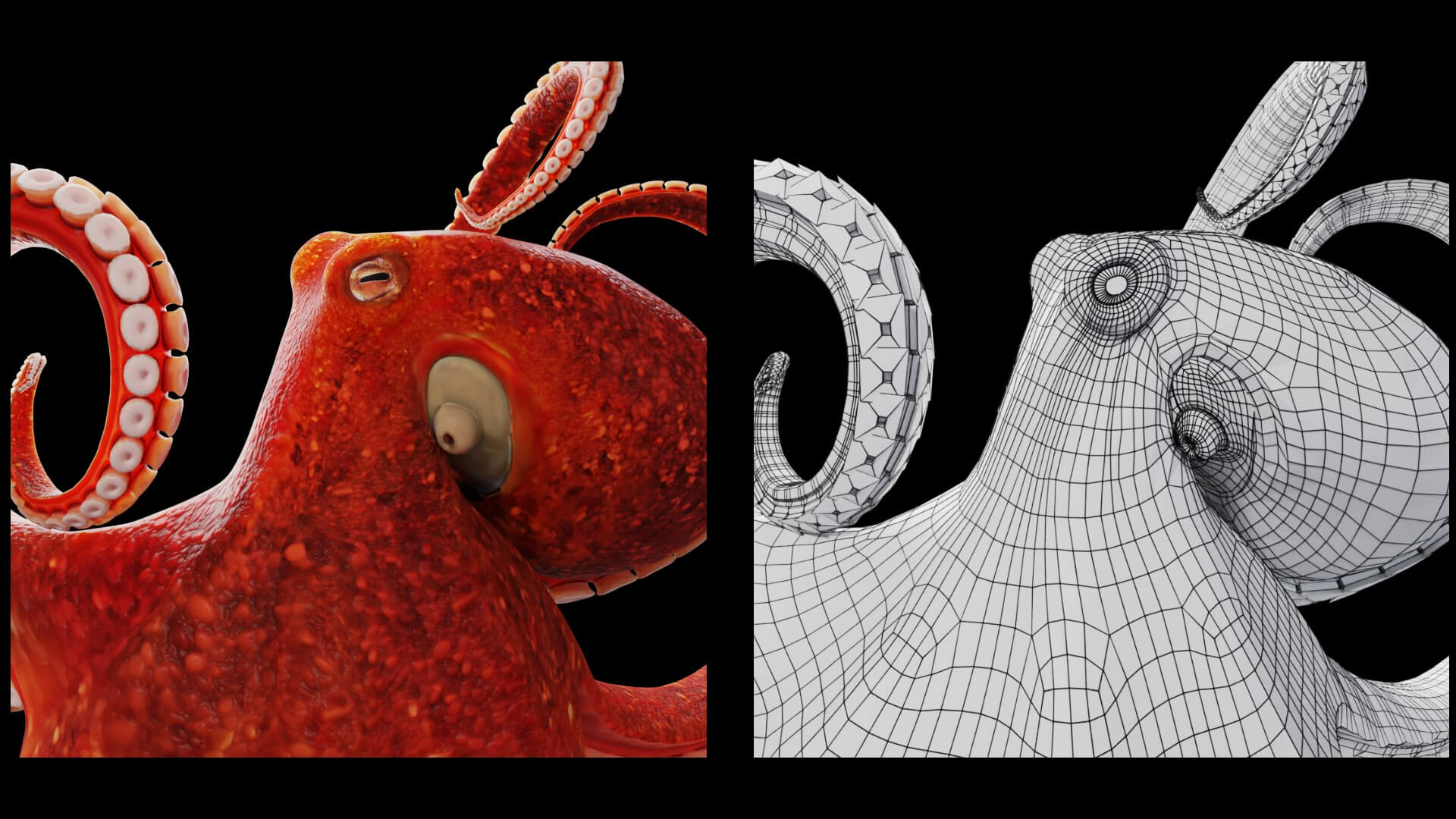 Animated Octopus - 3D Model by Pig Scales Studio