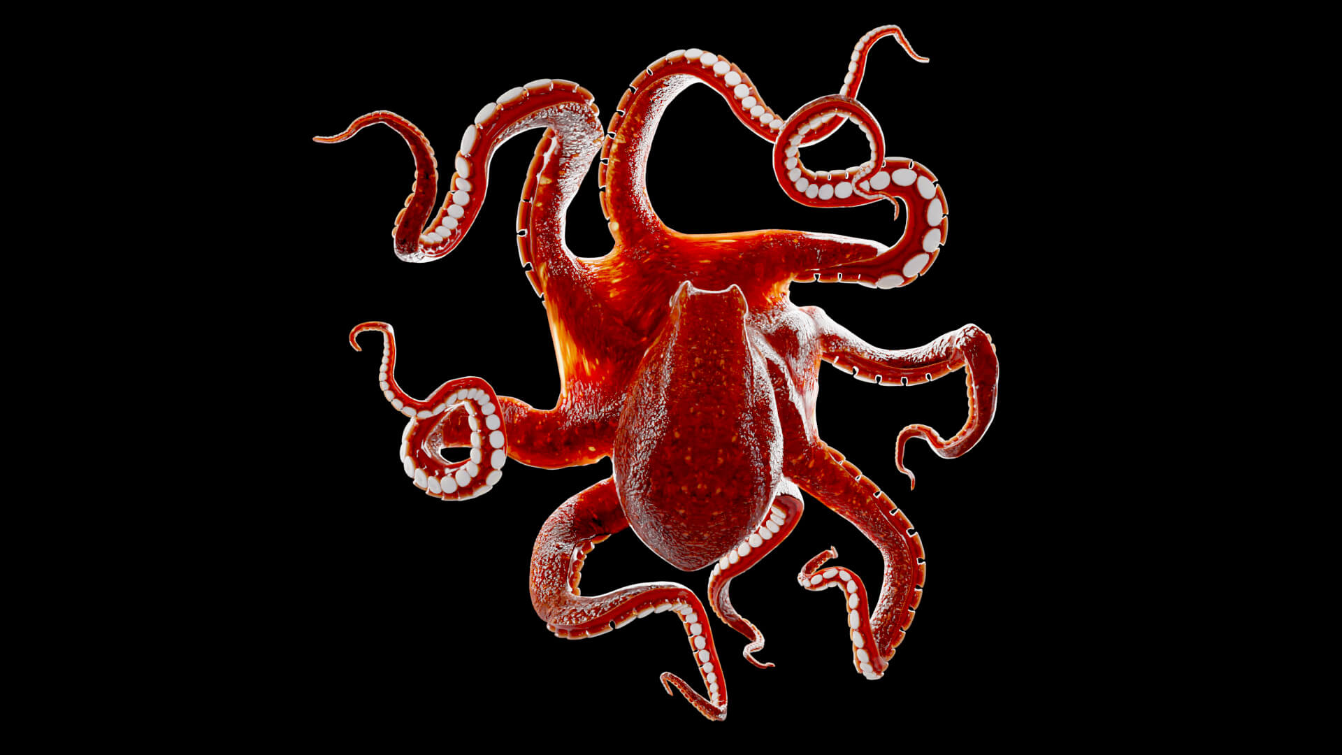 Animated Octopus - 3D Model by Pig Scales Studio