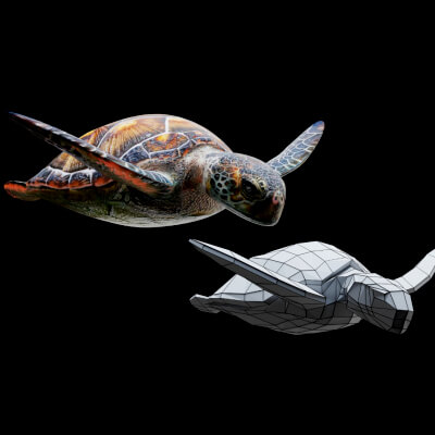 Animated 3D Models | Animals | Turtles | RenderHub