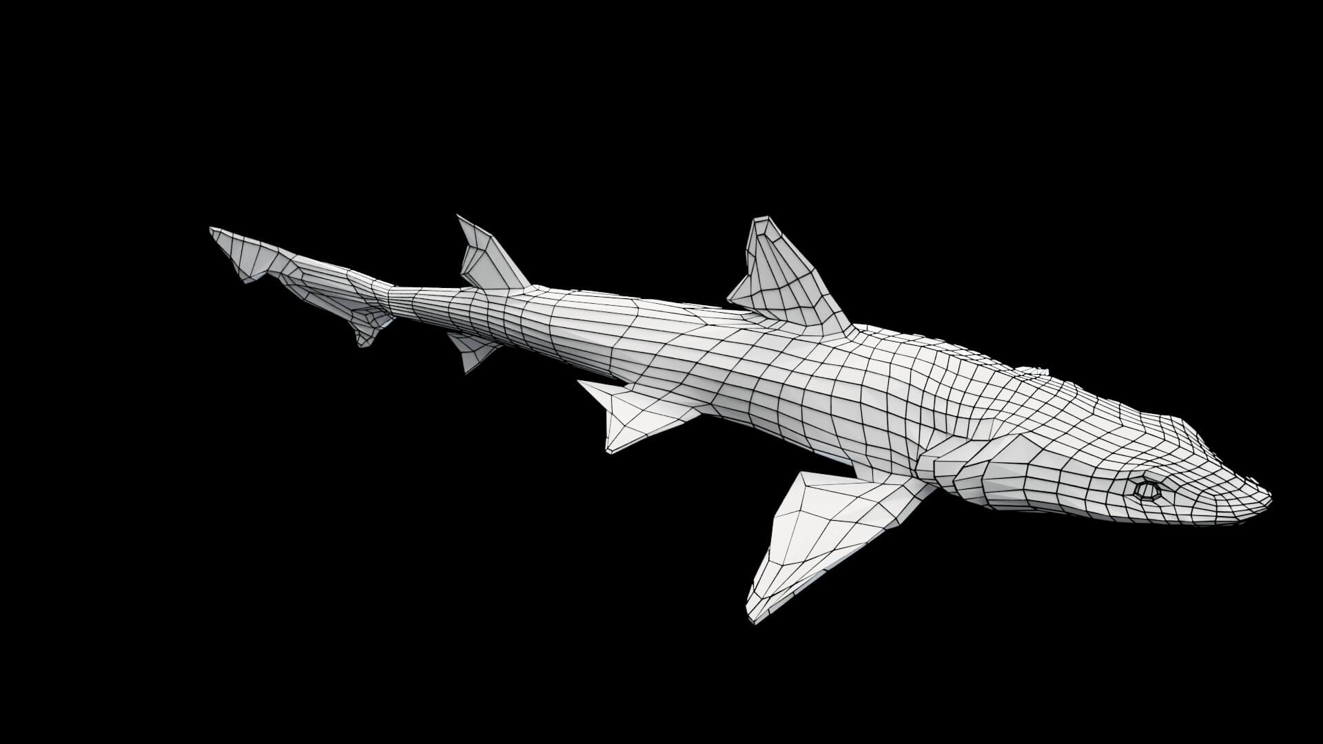Animated Smoothhound Shark - 3D Model by Pig Scales Studio