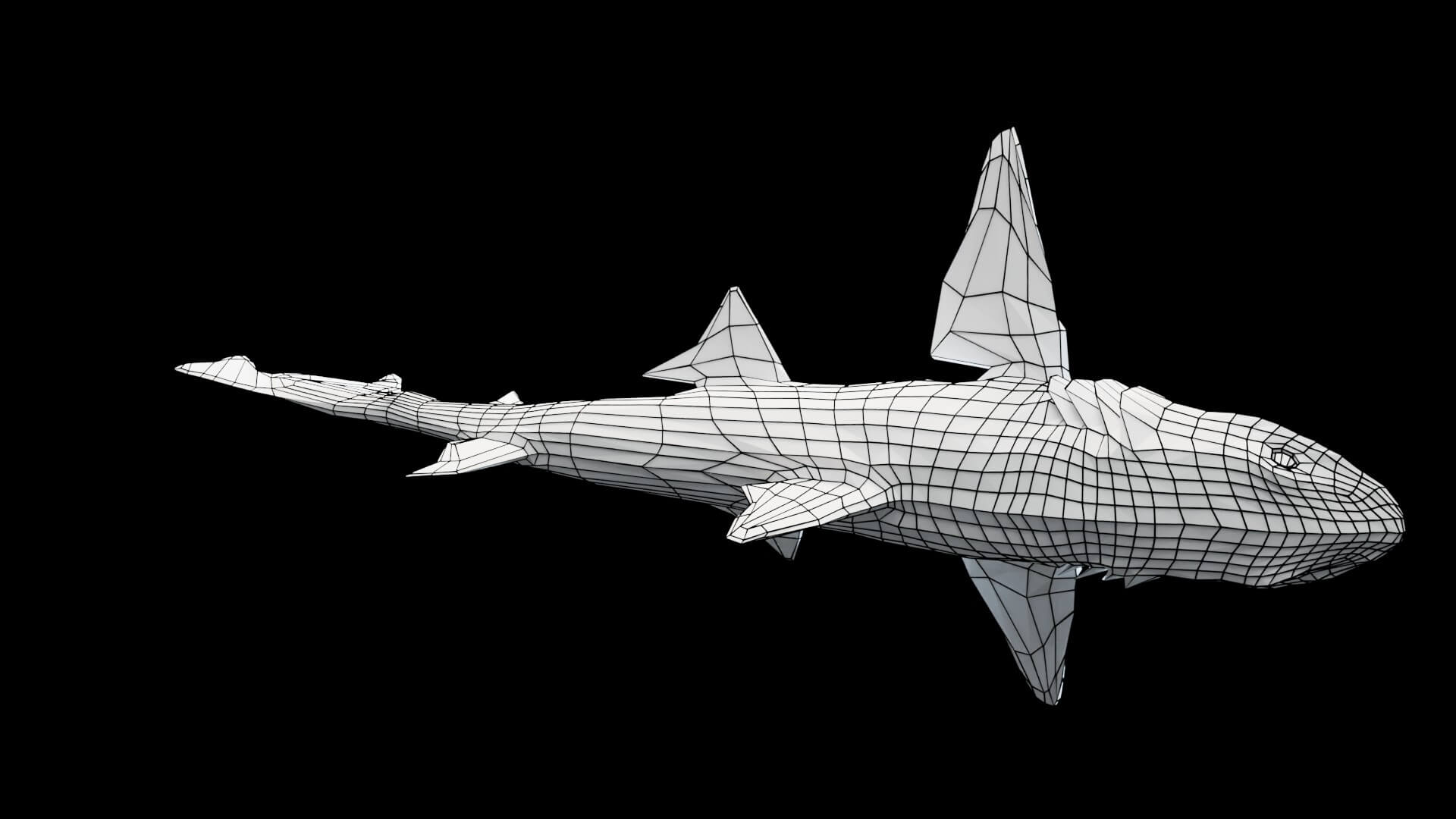 Animated Smoothhound Shark - 3D Model by Pig Scales Studio