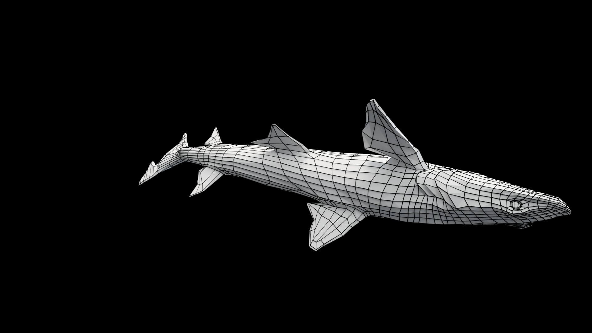 Animated Smoothhound Shark - 3D Model by Pig Scales Studio