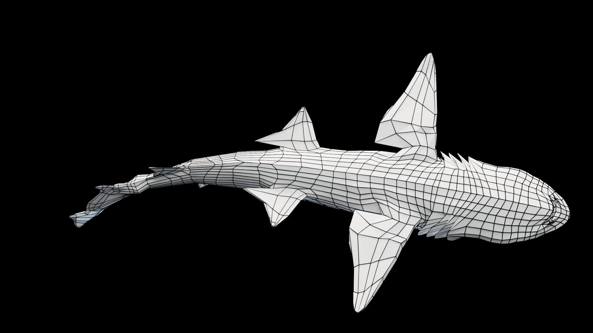 Animated Smoothhound Shark - 3D Model by Pig Scales Studio