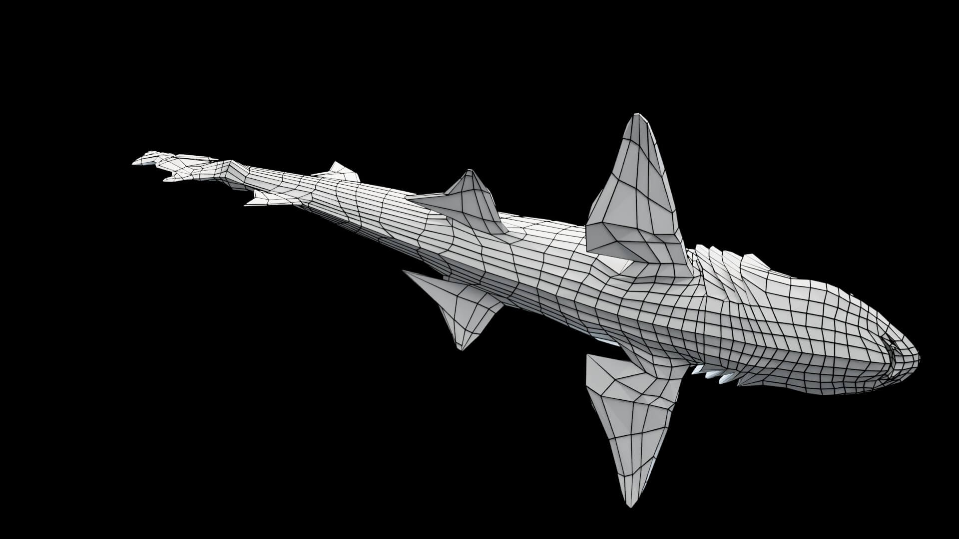Animated Smoothhound Shark - 3D Model by Pig Scales Studio