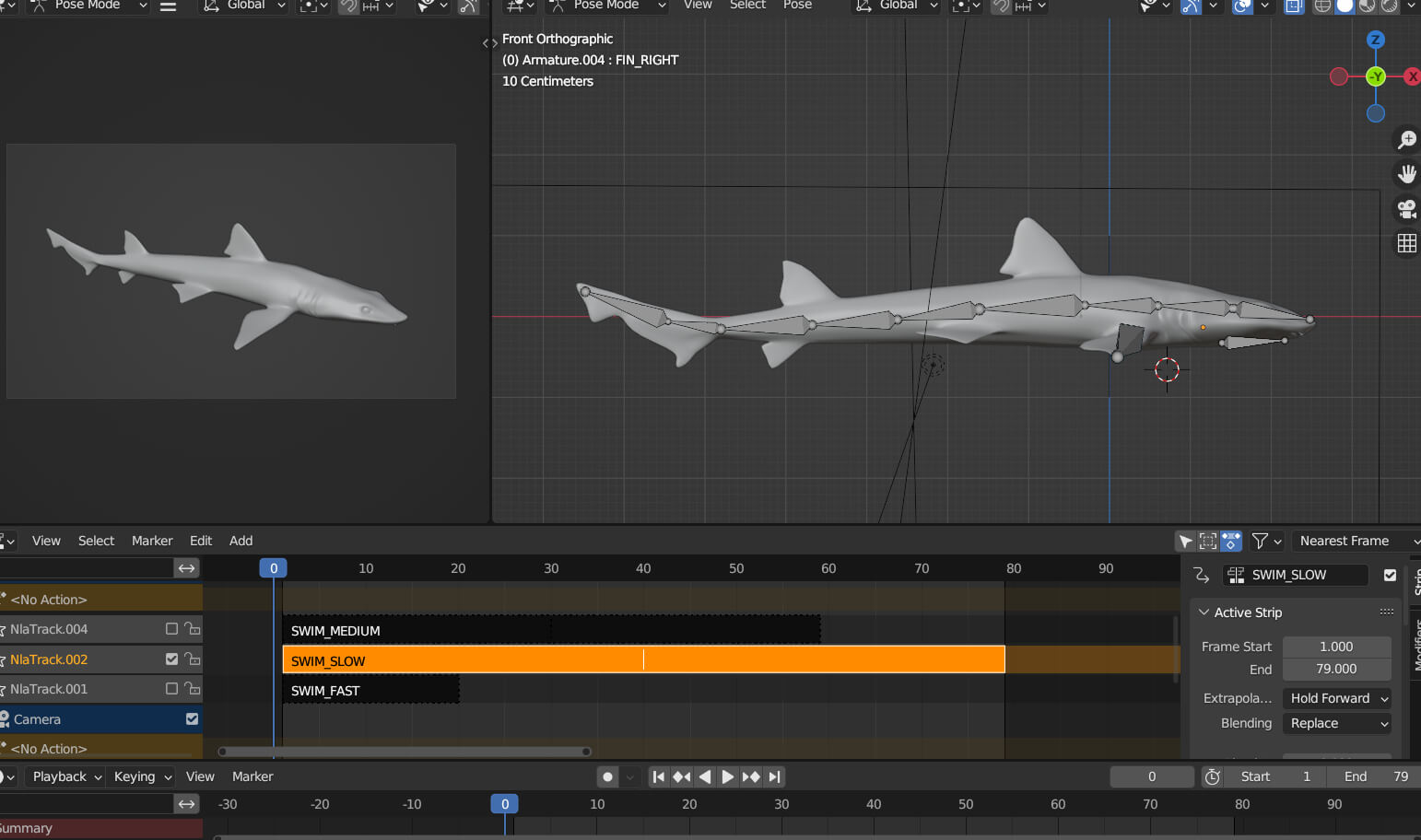 Animated Smoothhound Shark - 3D Model by Pig Scales Studio