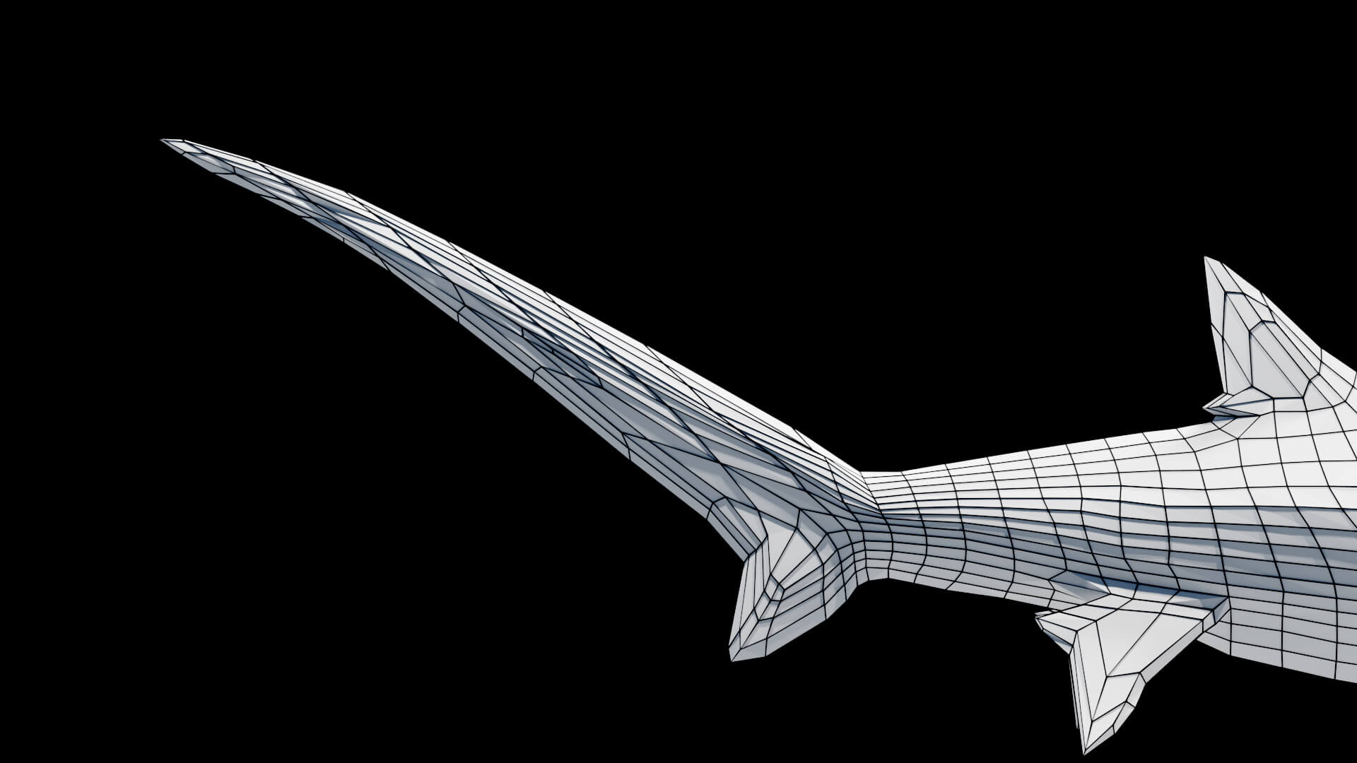 Animated Thresher Shark - Free 3D Model by Pig Scales Studio