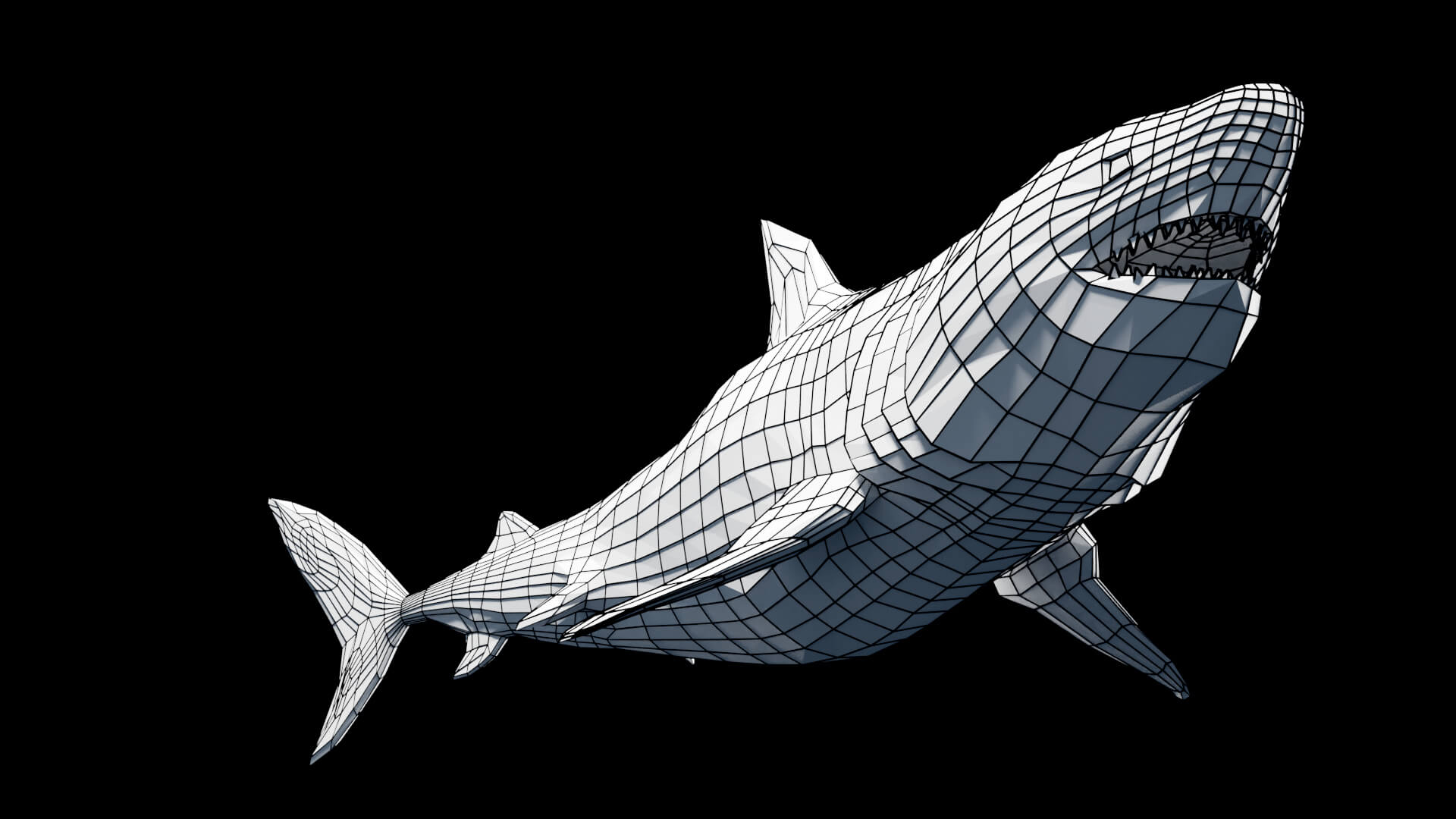 Animated Tiger Shark - 3D Model by Pig Scales Studio