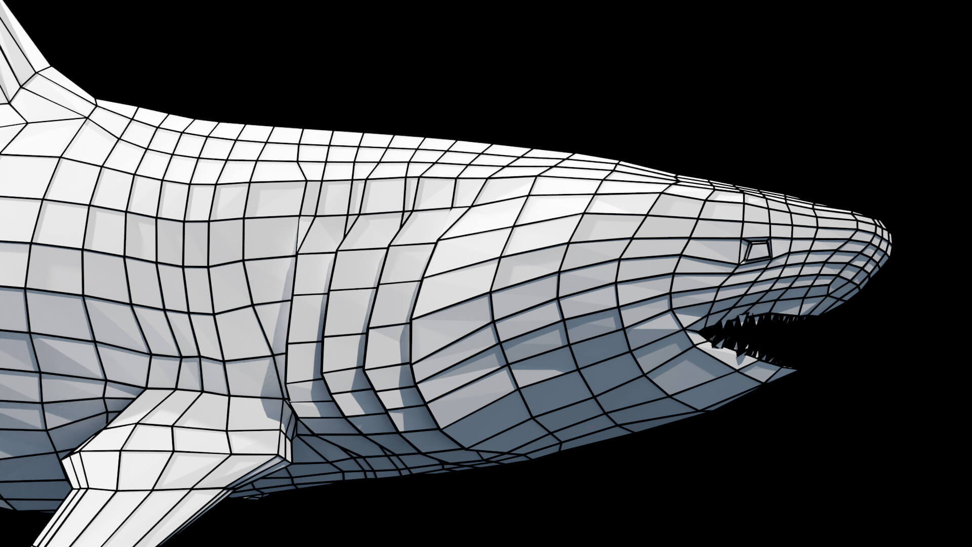 Animated Tiger Shark - 3D Model by Pig Scales Studio