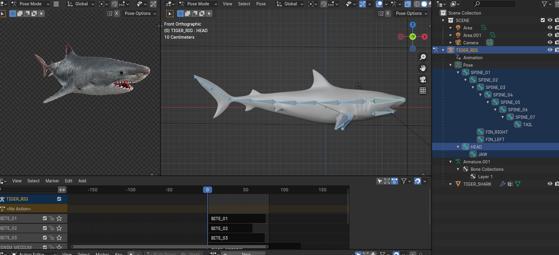 Animated Tiger Shark - 3D Model by Pig Scales Studio