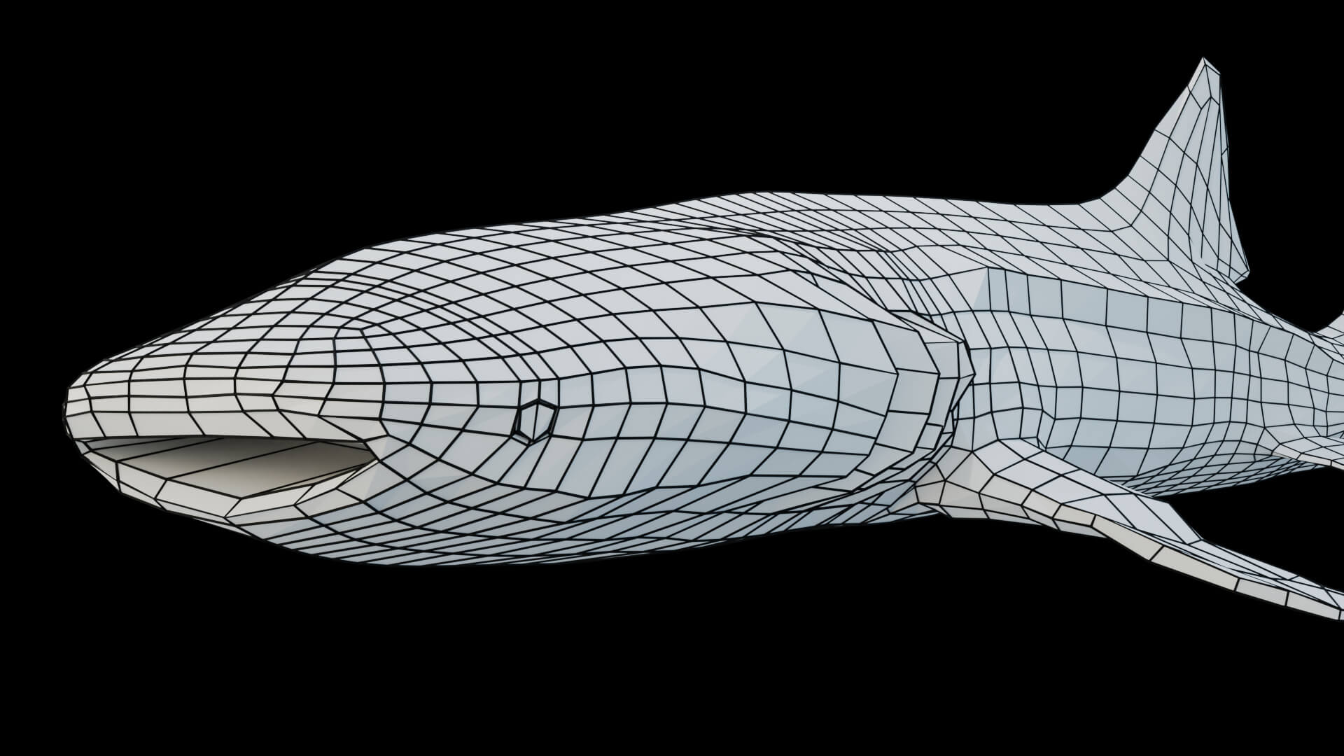 Animated Whale Shark - 3D Model by Pig Scales Studio