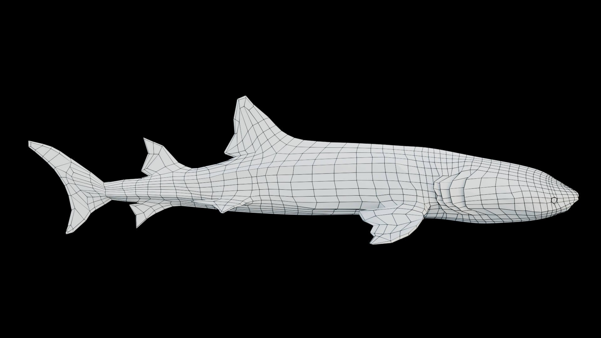 Animated Whale Shark - 3D Model by Pig Scales Studio