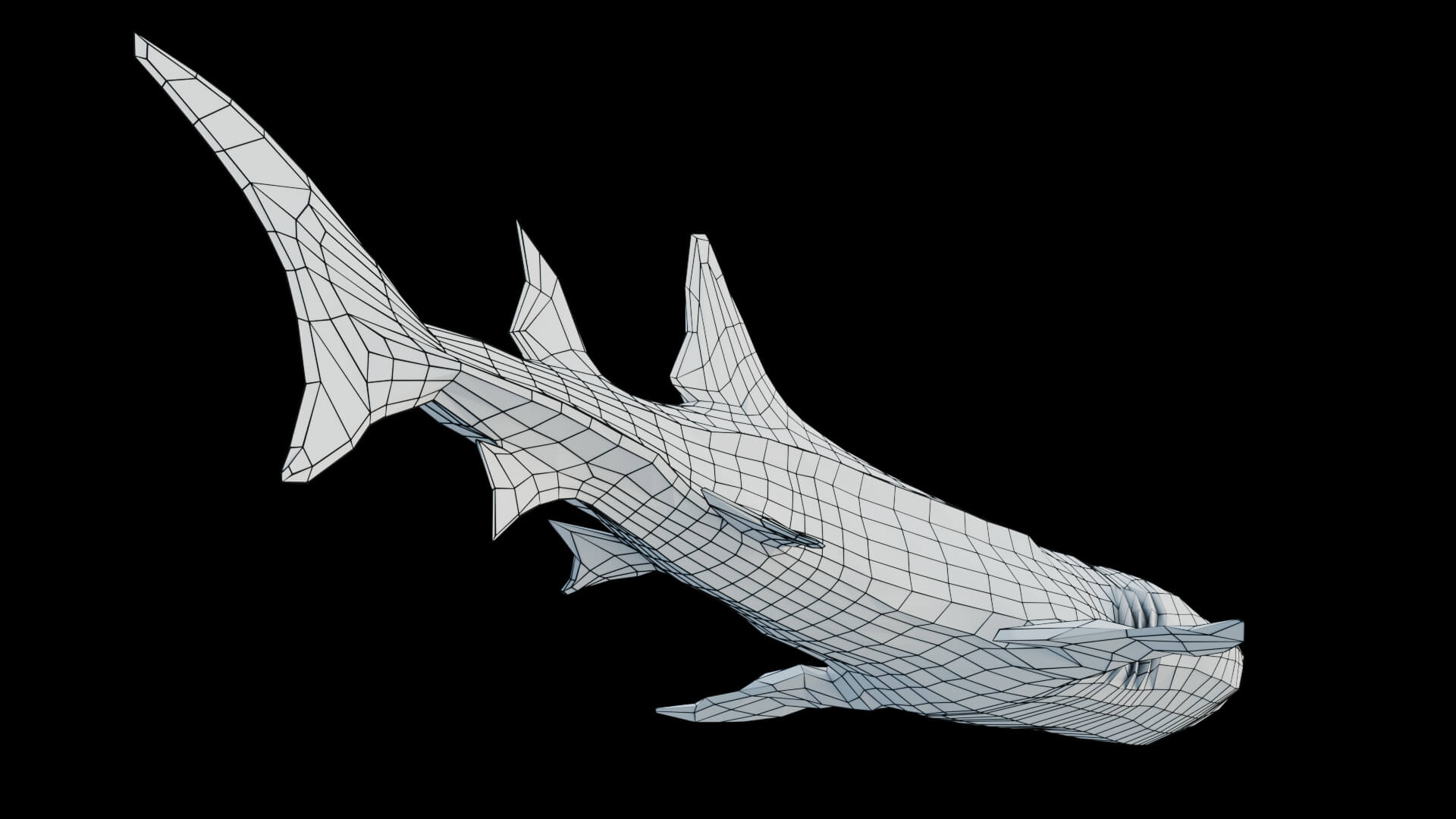 Animated Whale Shark - 3D Model by Pig Scales Studio