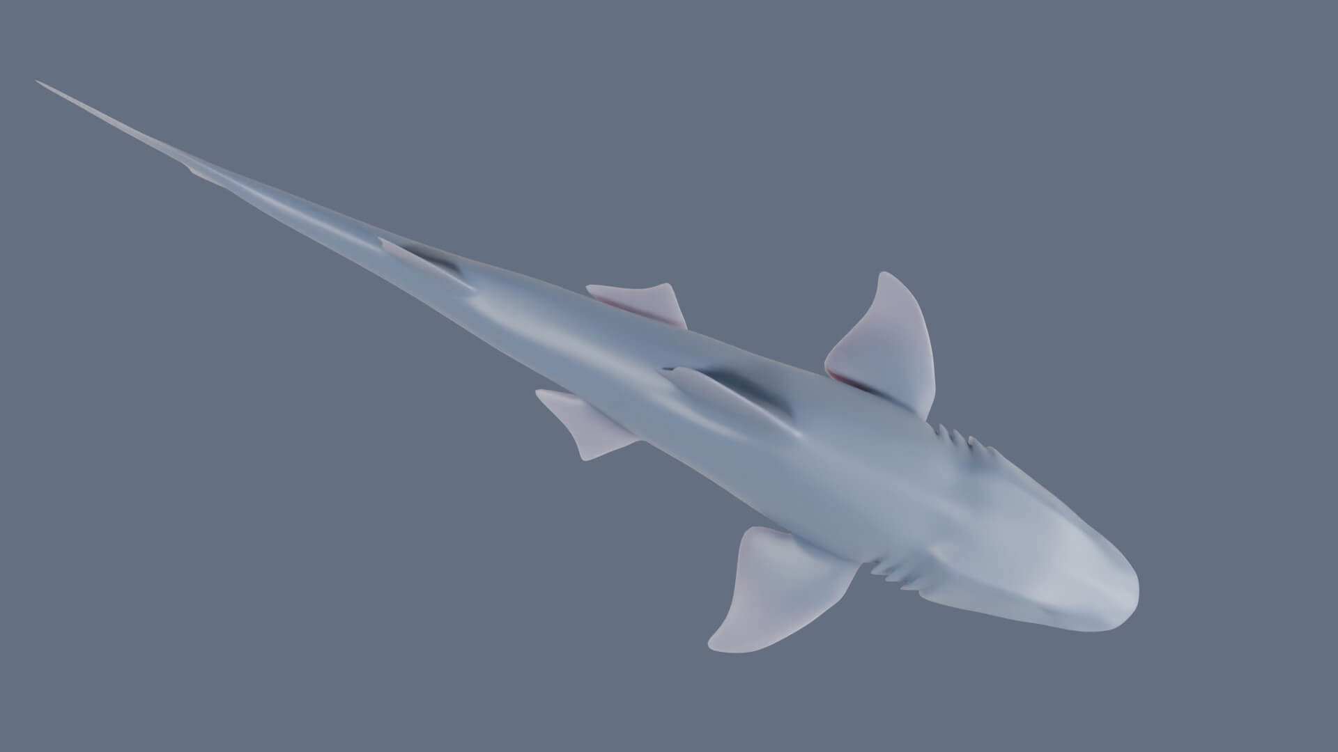 Bamboo Shark Figurine - 3D Model by Pig Scales Studio