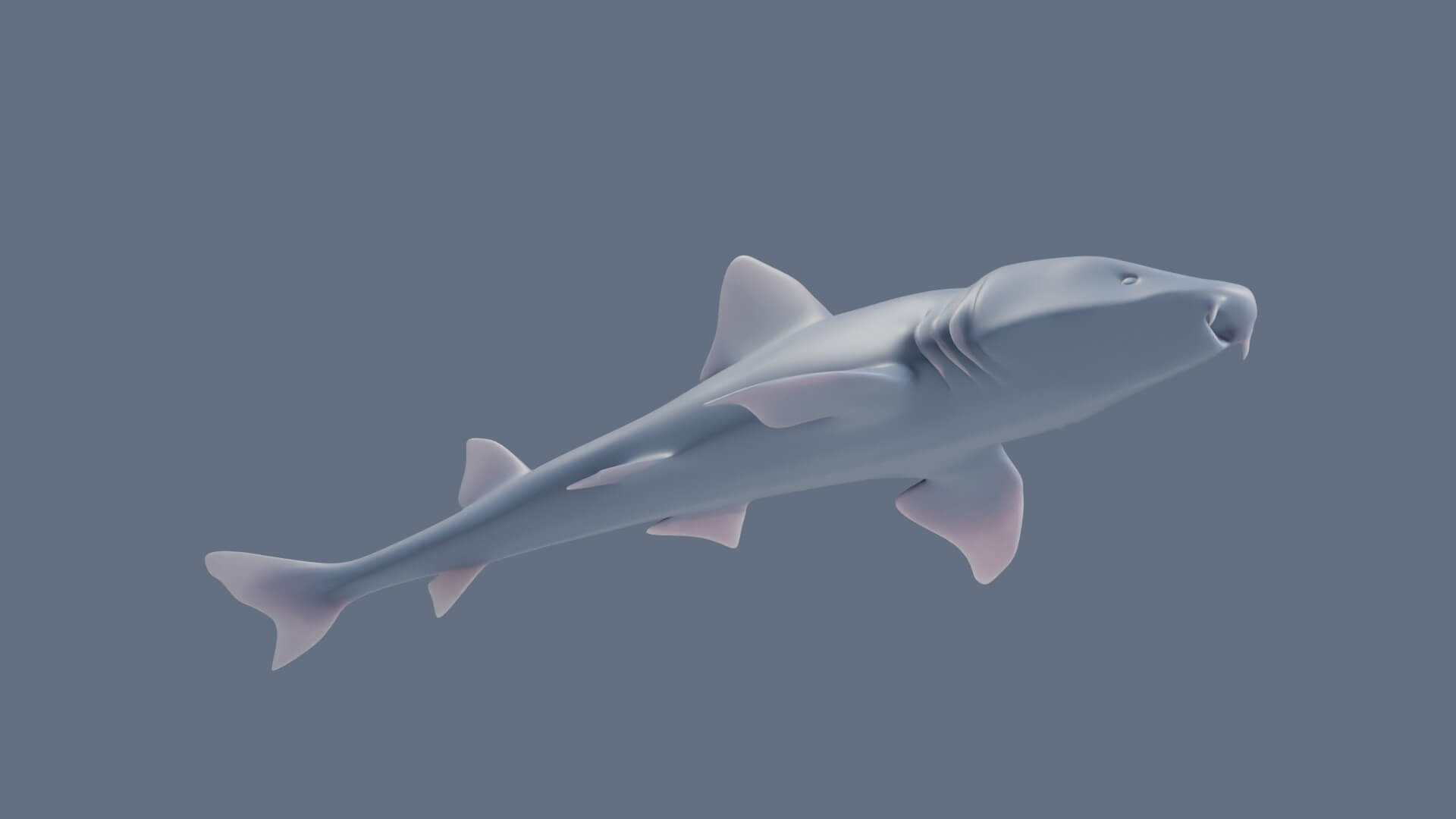 Bamboo Shark Figurine - 3D Model by Pig Scales Studio