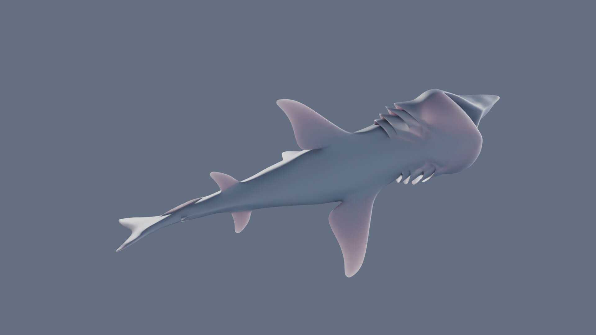 Basking Shark 3D Print Model by Pig Scales Studio
