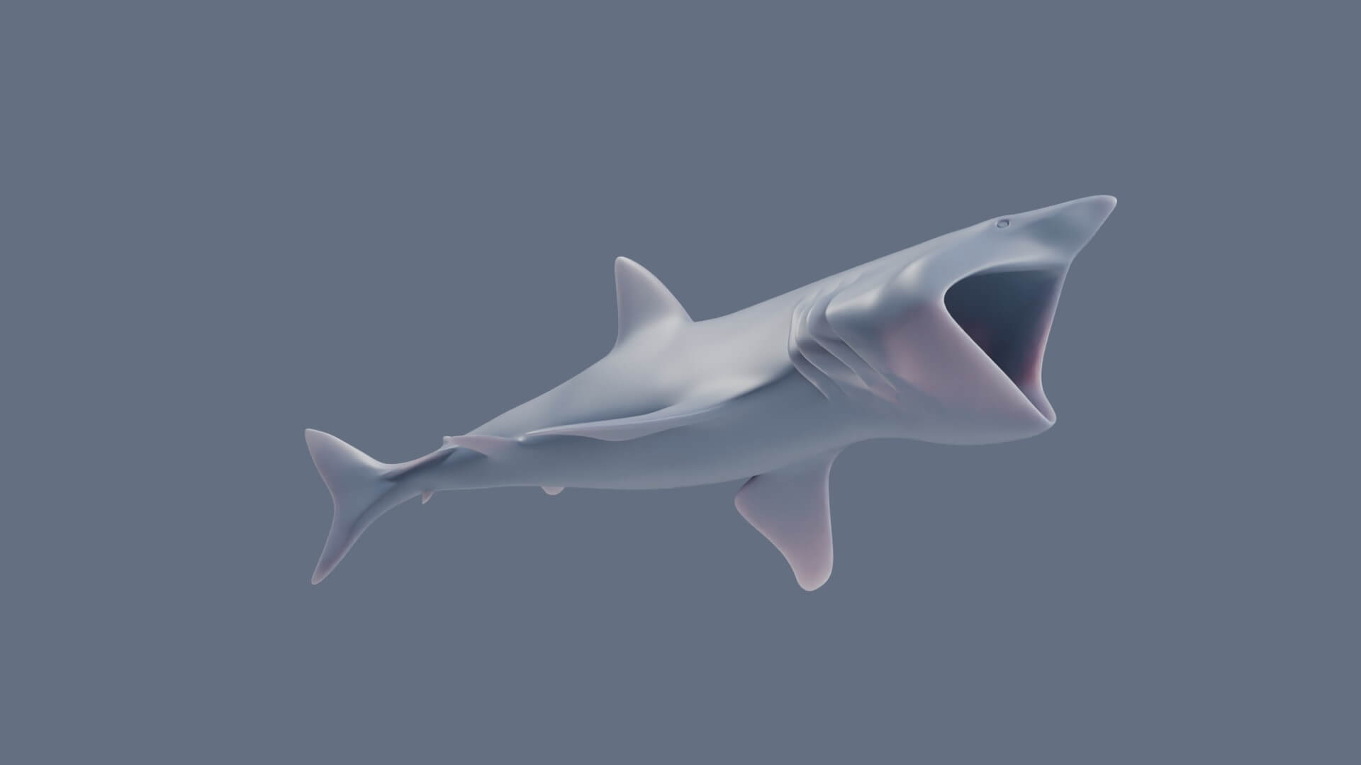 Basking Shark 3D Print Model by Pig Scales Studio