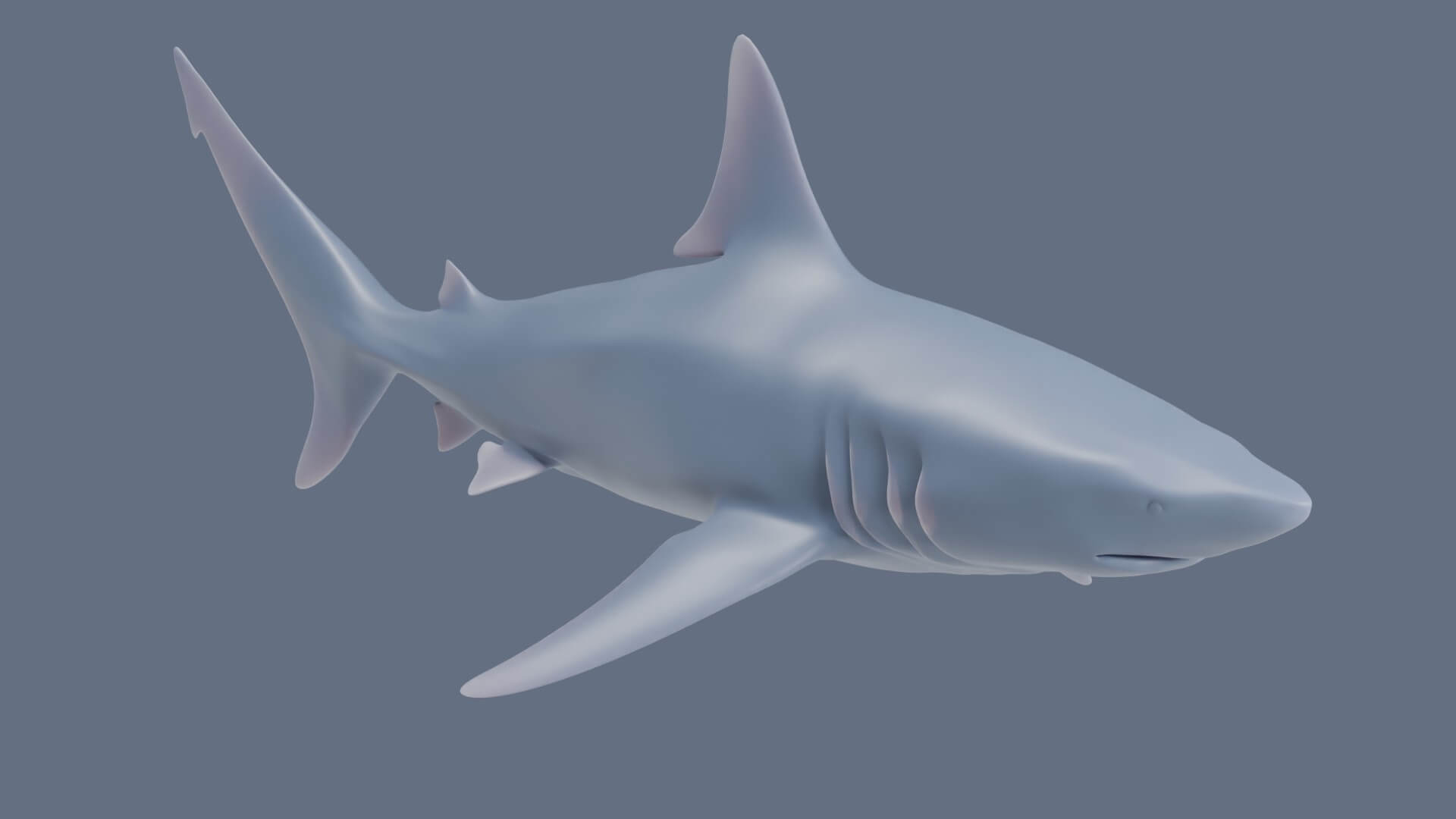 Blacktip Shark Figurine - 3D Model by Pig Scales Studio