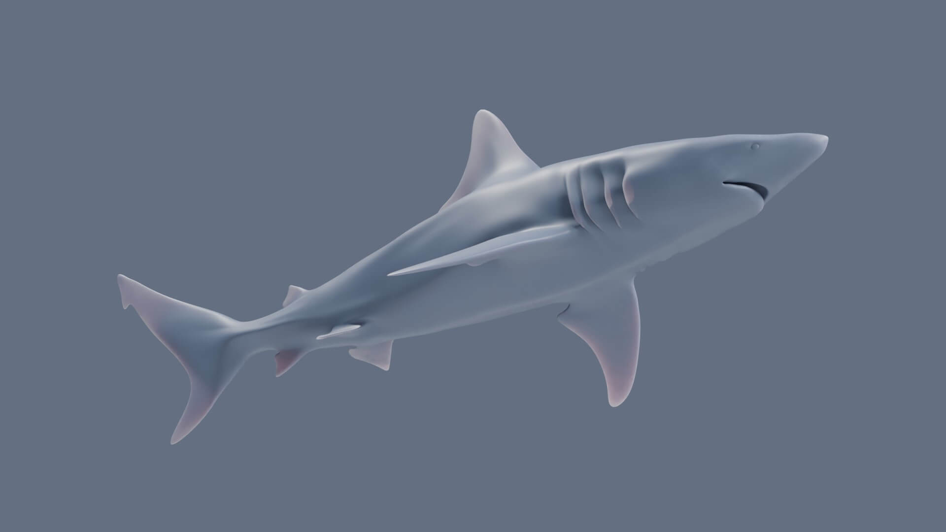 Blacktip Shark Figurine - Free 3D Print Model by Pig Scales Studio